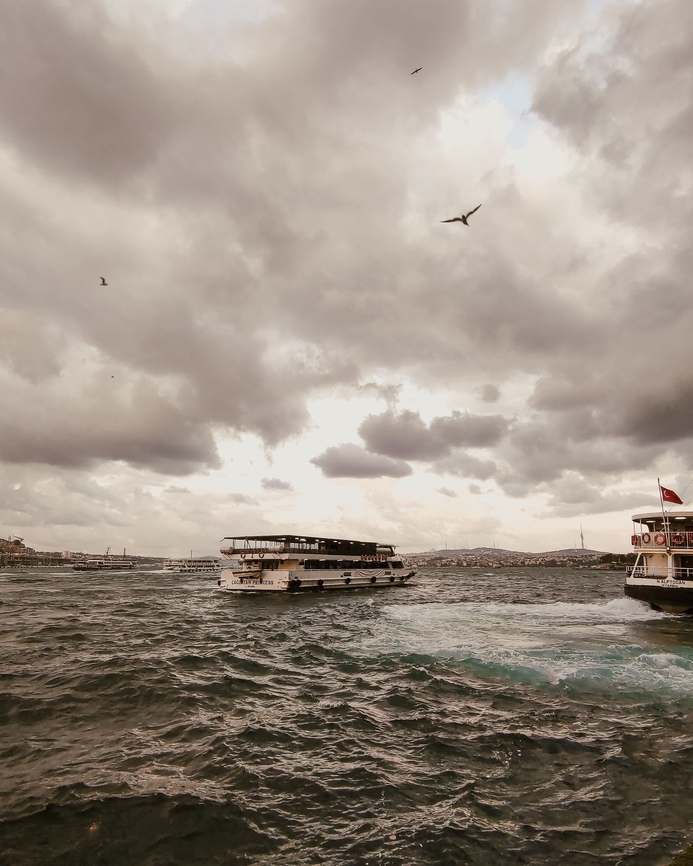 Ferry on Body of Water · Free Stock Photo