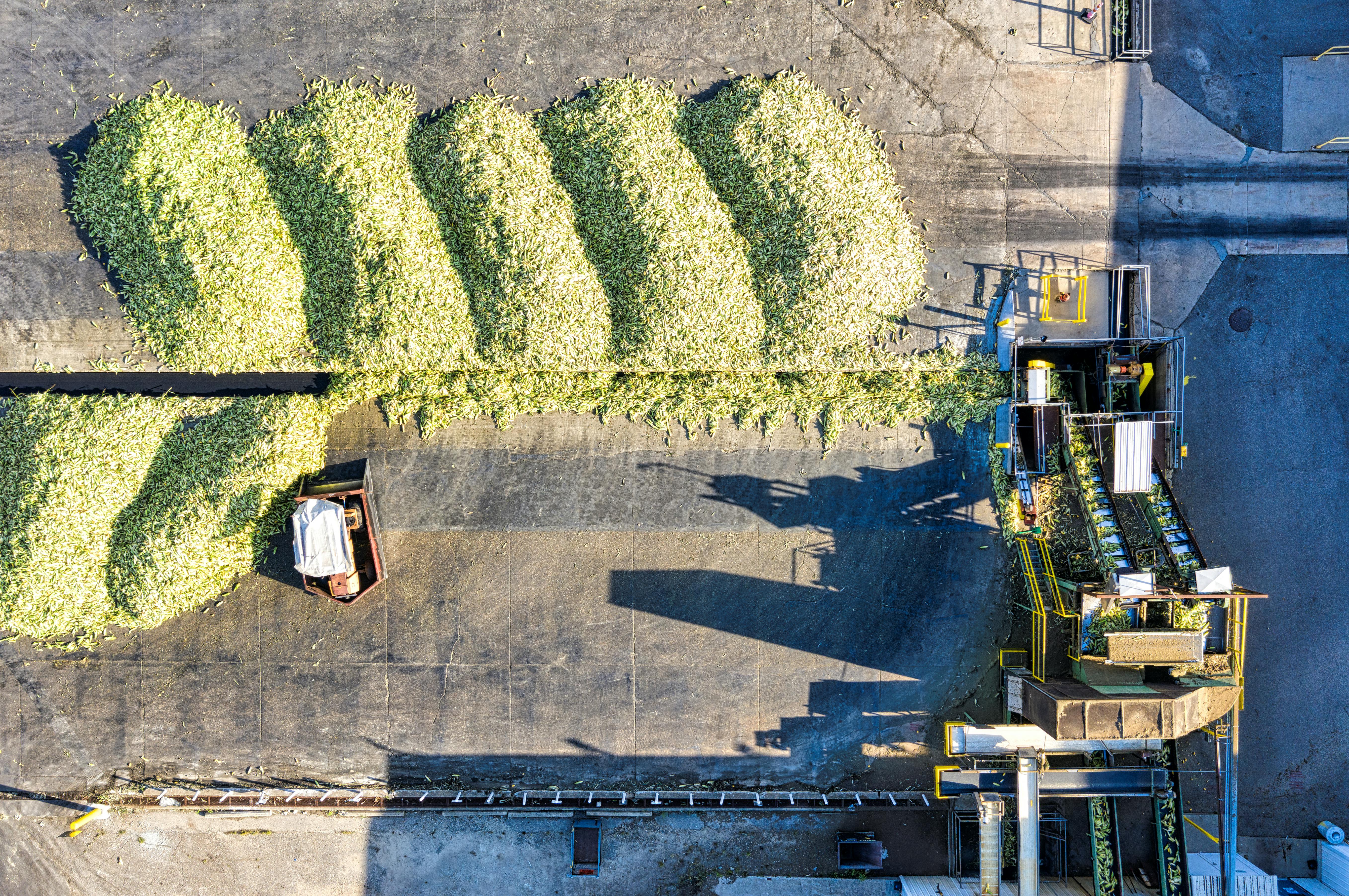 Harvest on a Farm · Free Stock Photo