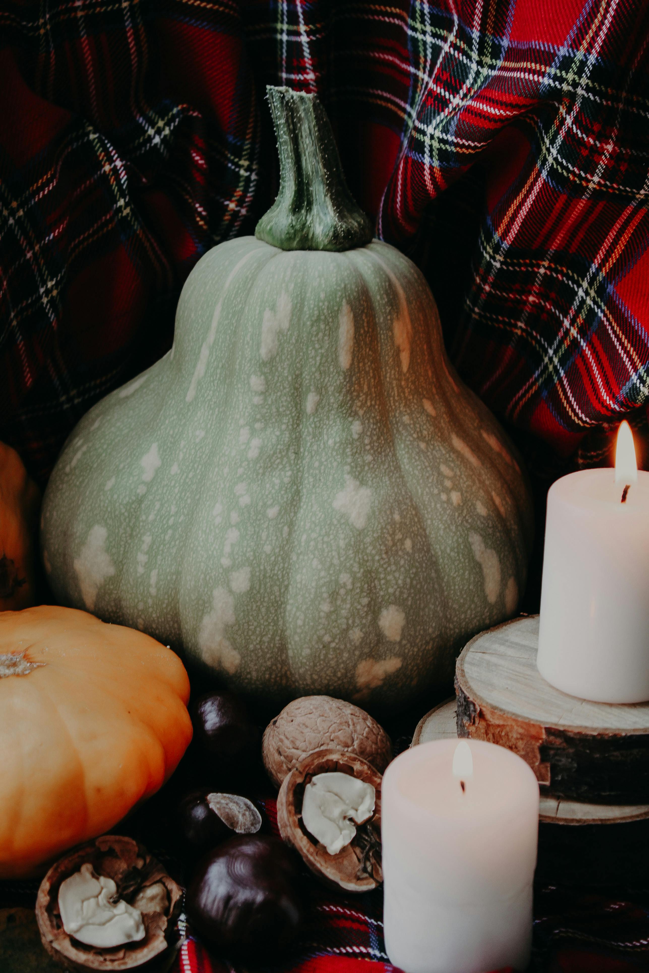 Mystique Photos, Download The BEST Free Mystique Stock Photos & HD Images