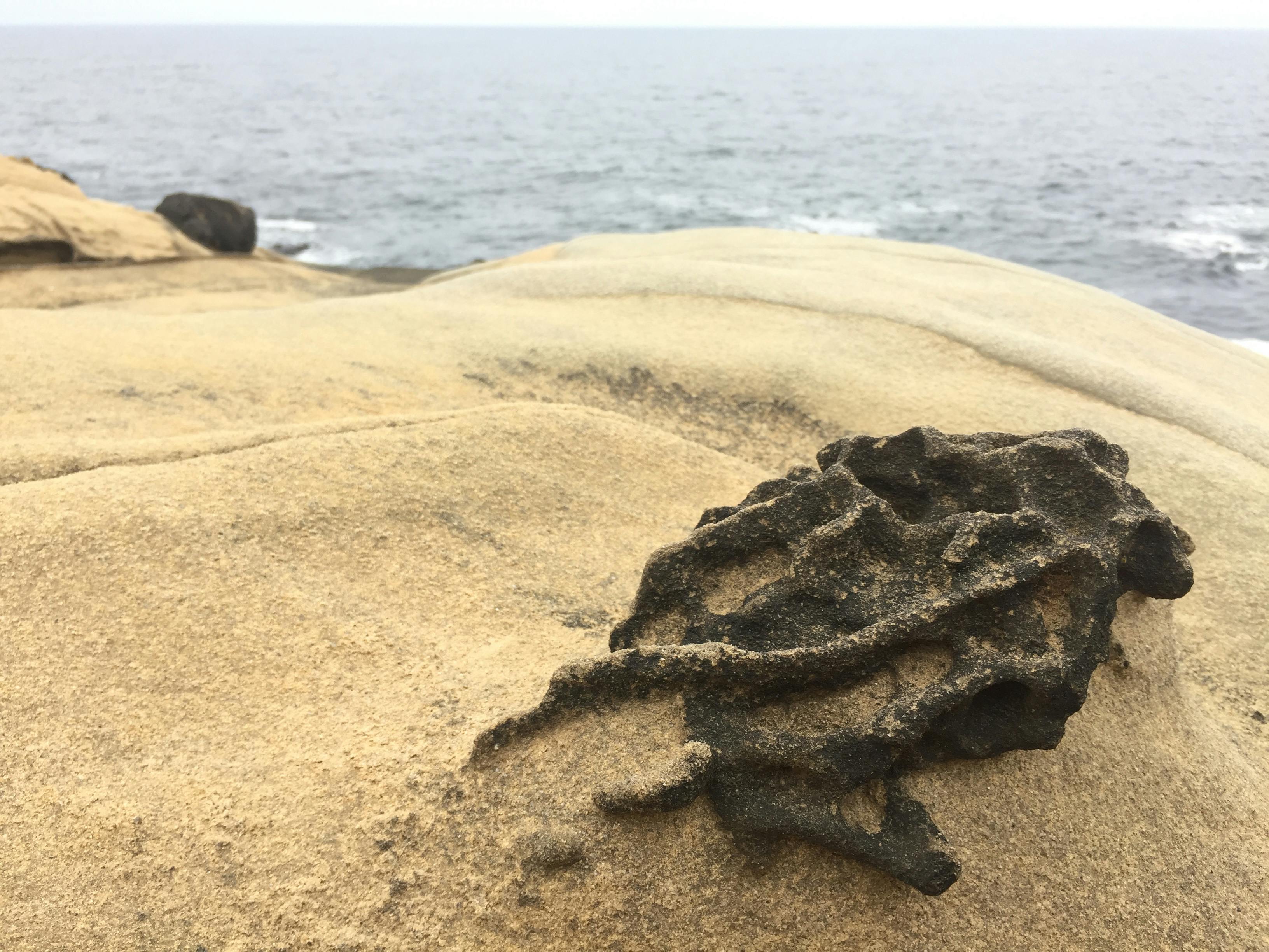 Chris Lawson - 사진