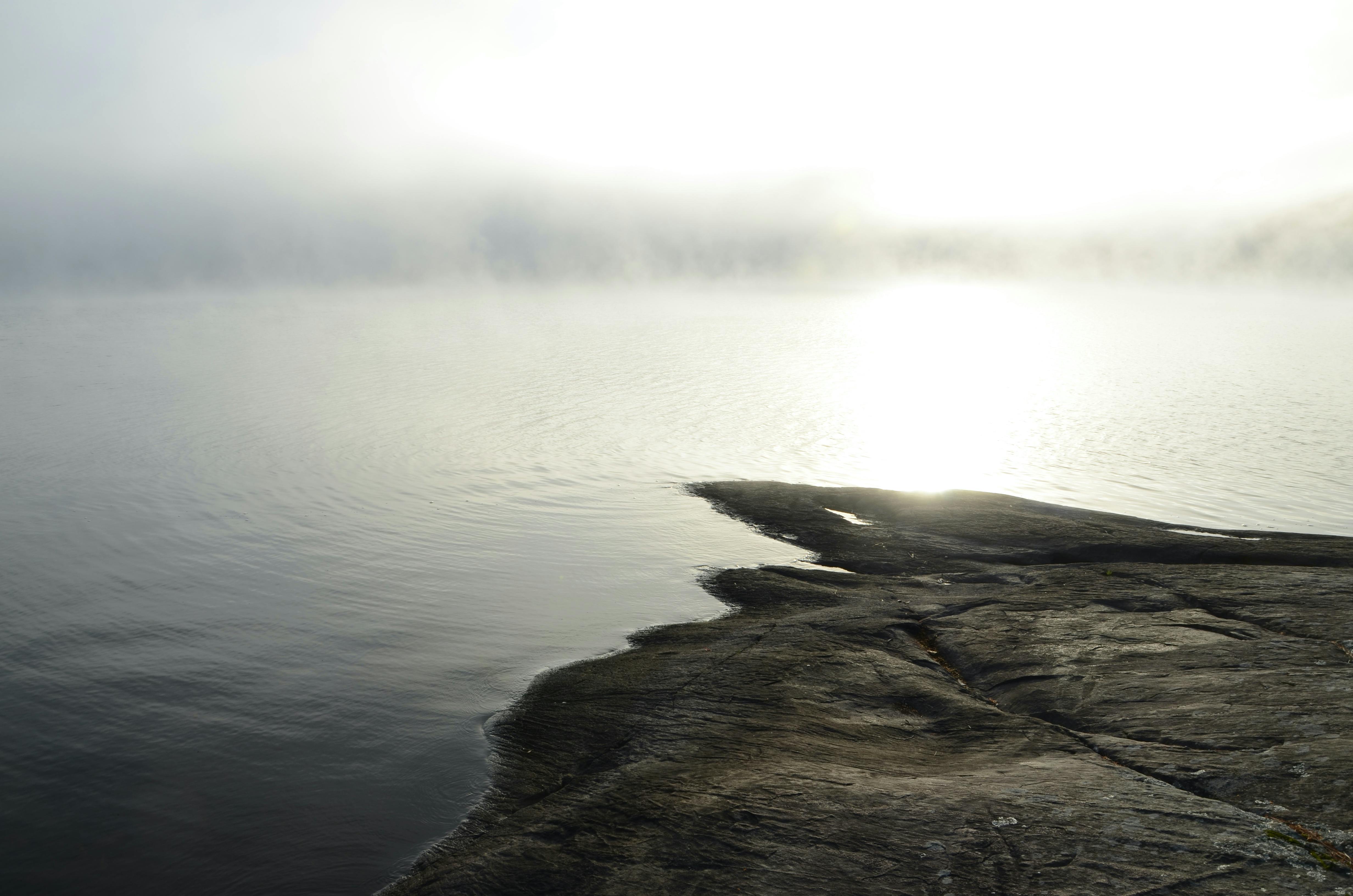 Chris Lawson - 사진