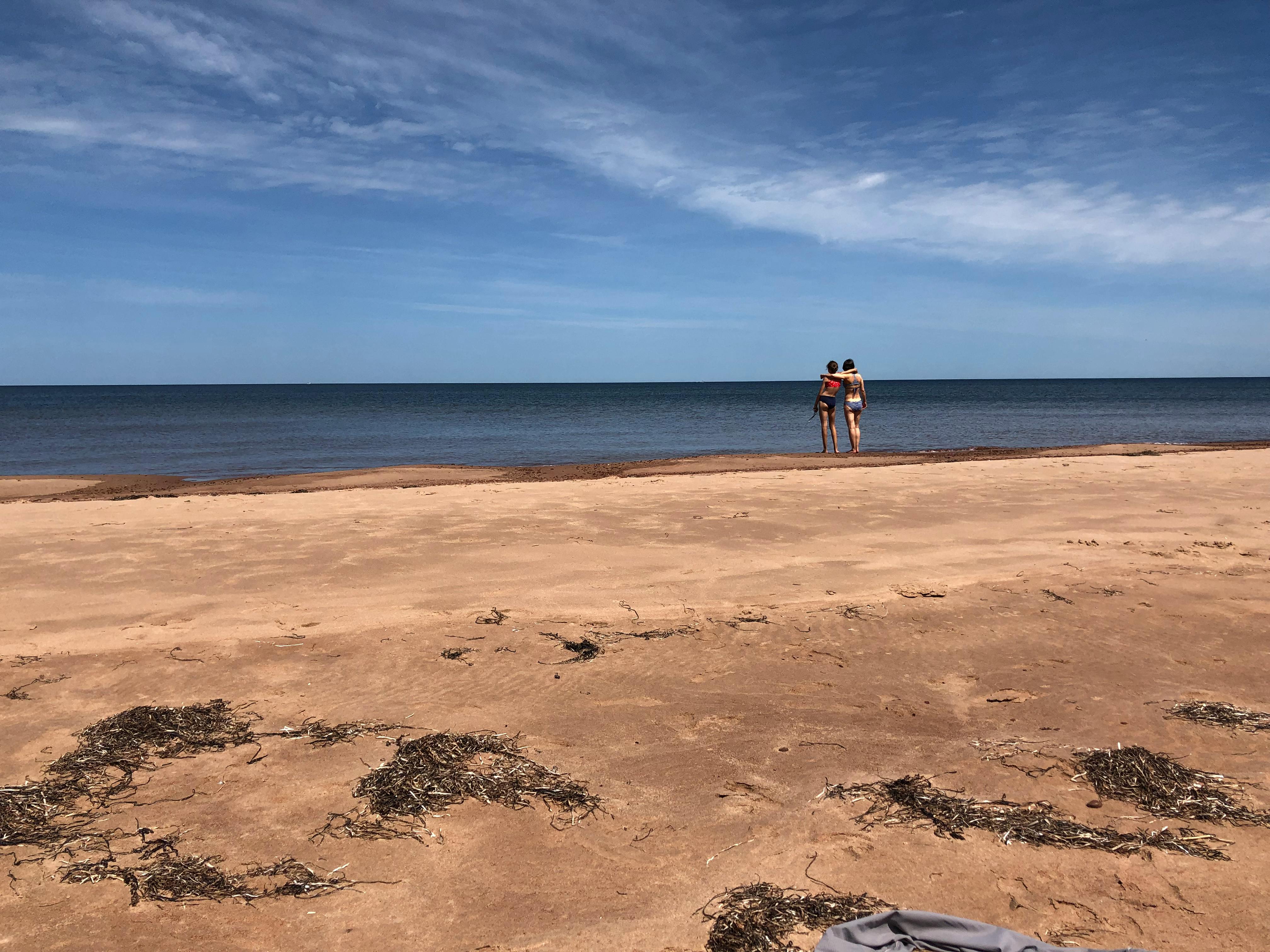 Chris Lawson - 사진