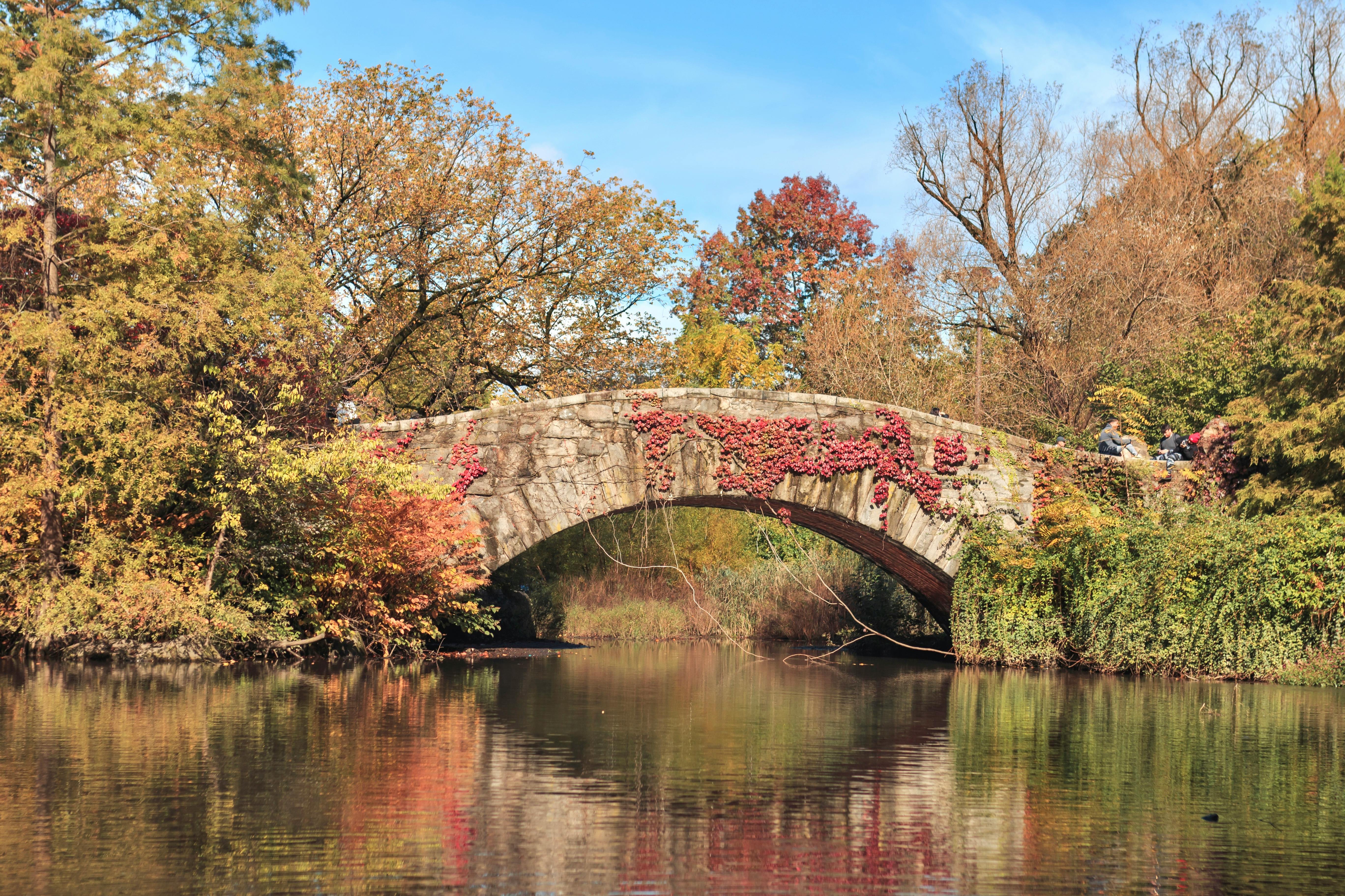 Stone Bridge over River · Free Stock Photo