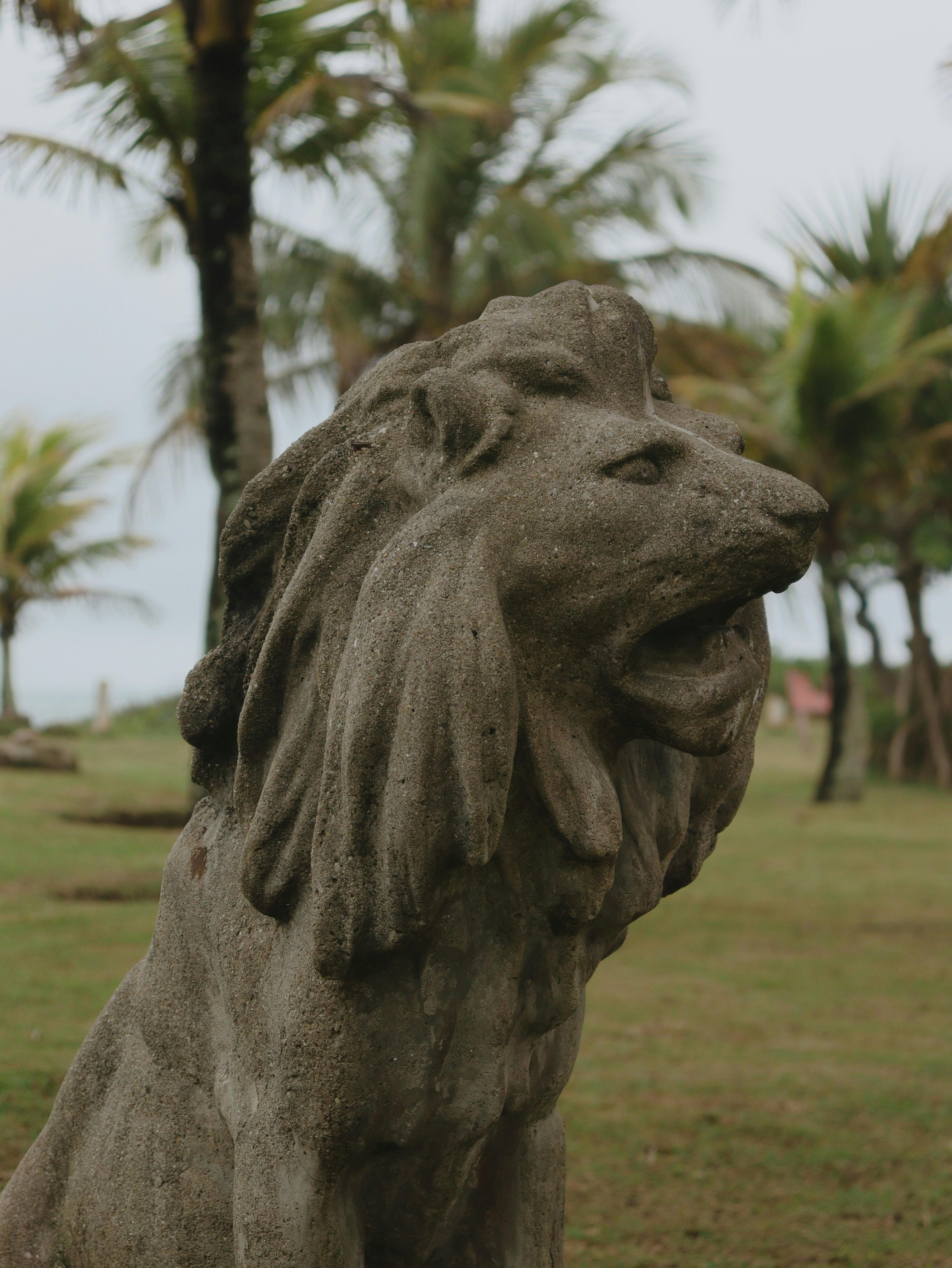 Brian Jesus - Photography