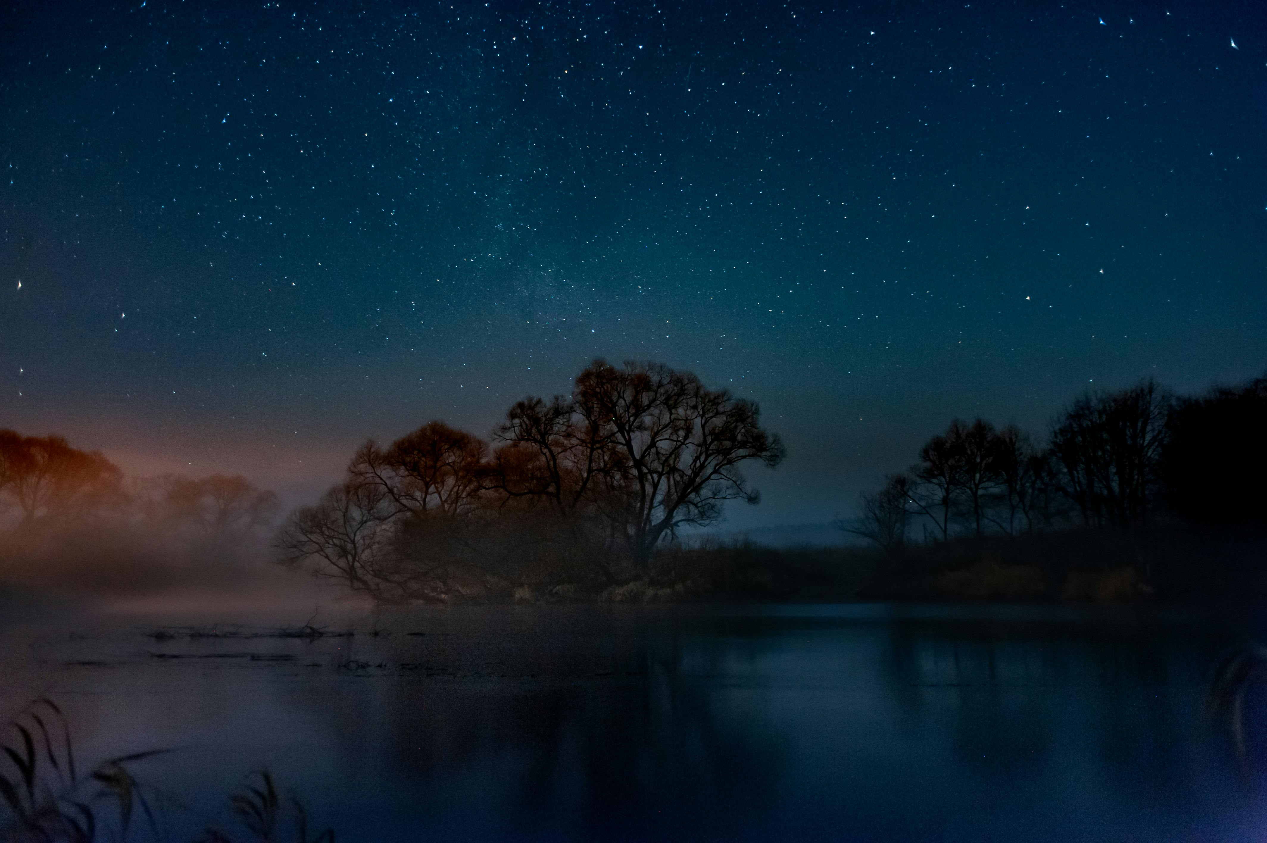 Silhouette of Trees Near the Lake During Night Time · Free Stock Photo