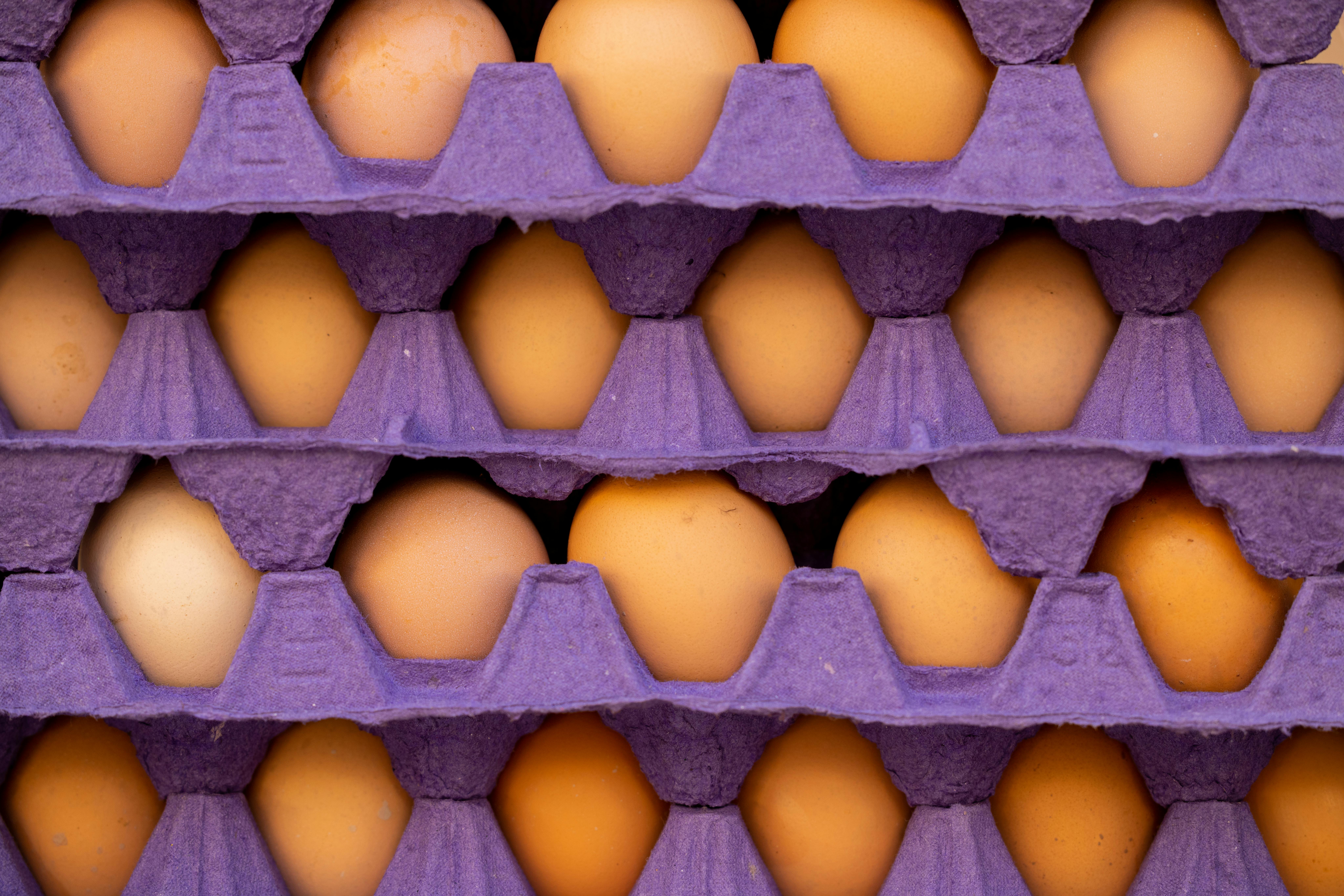 A Stack of Egg Trays · Free Stock Photo