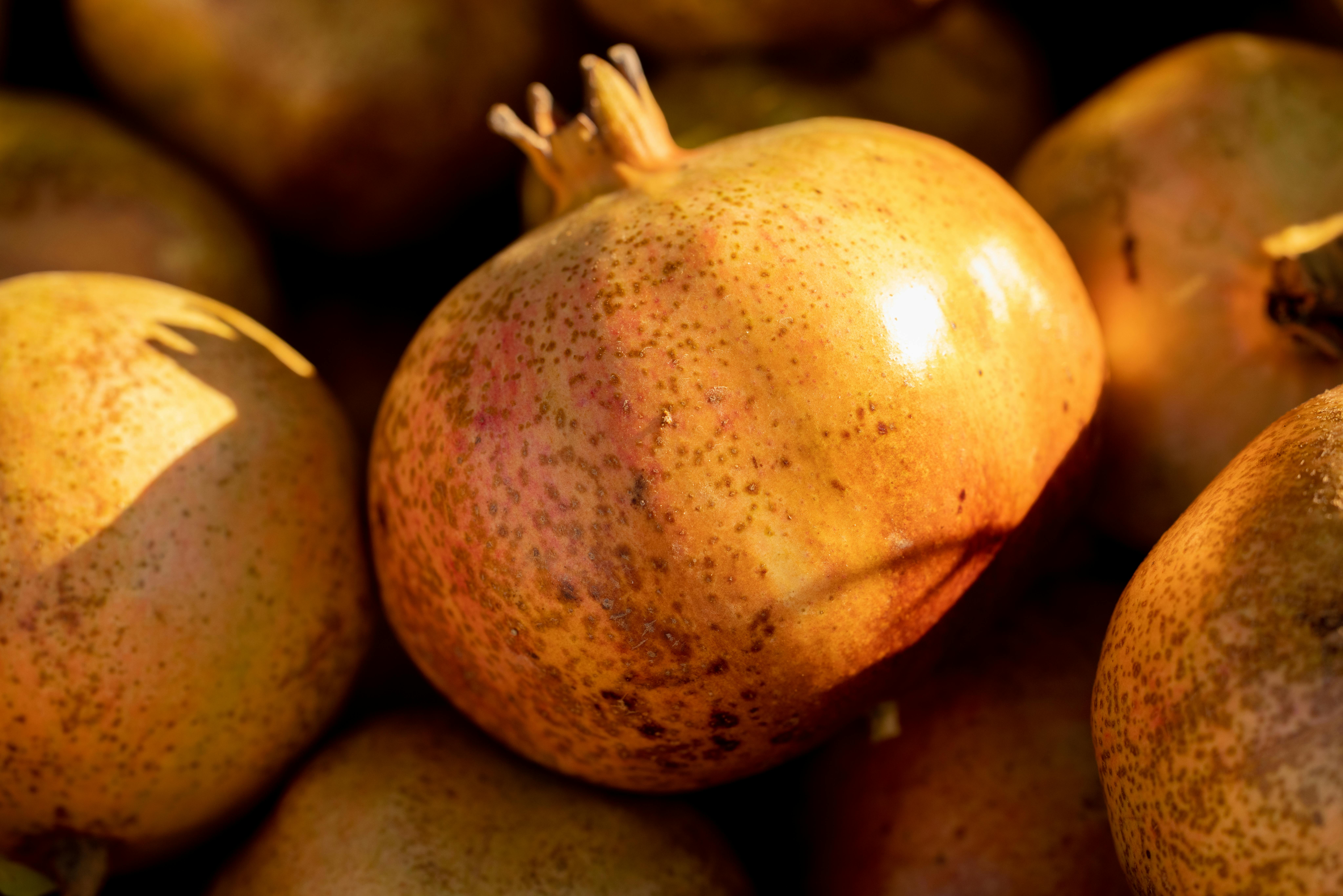 Red Round Fruit · Free Stock Photo