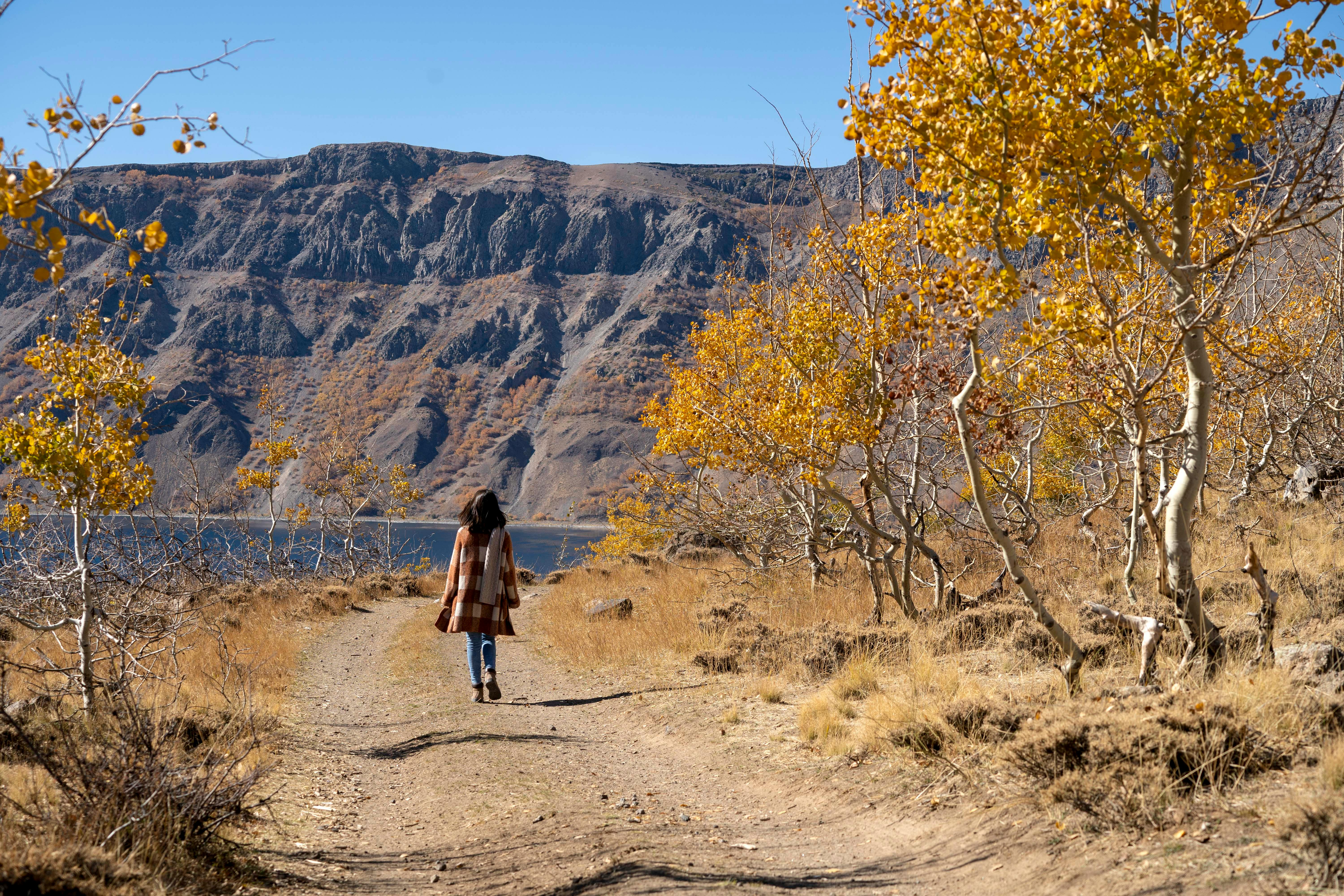 Woman Walking on Dirt Road · Free Stock Photo