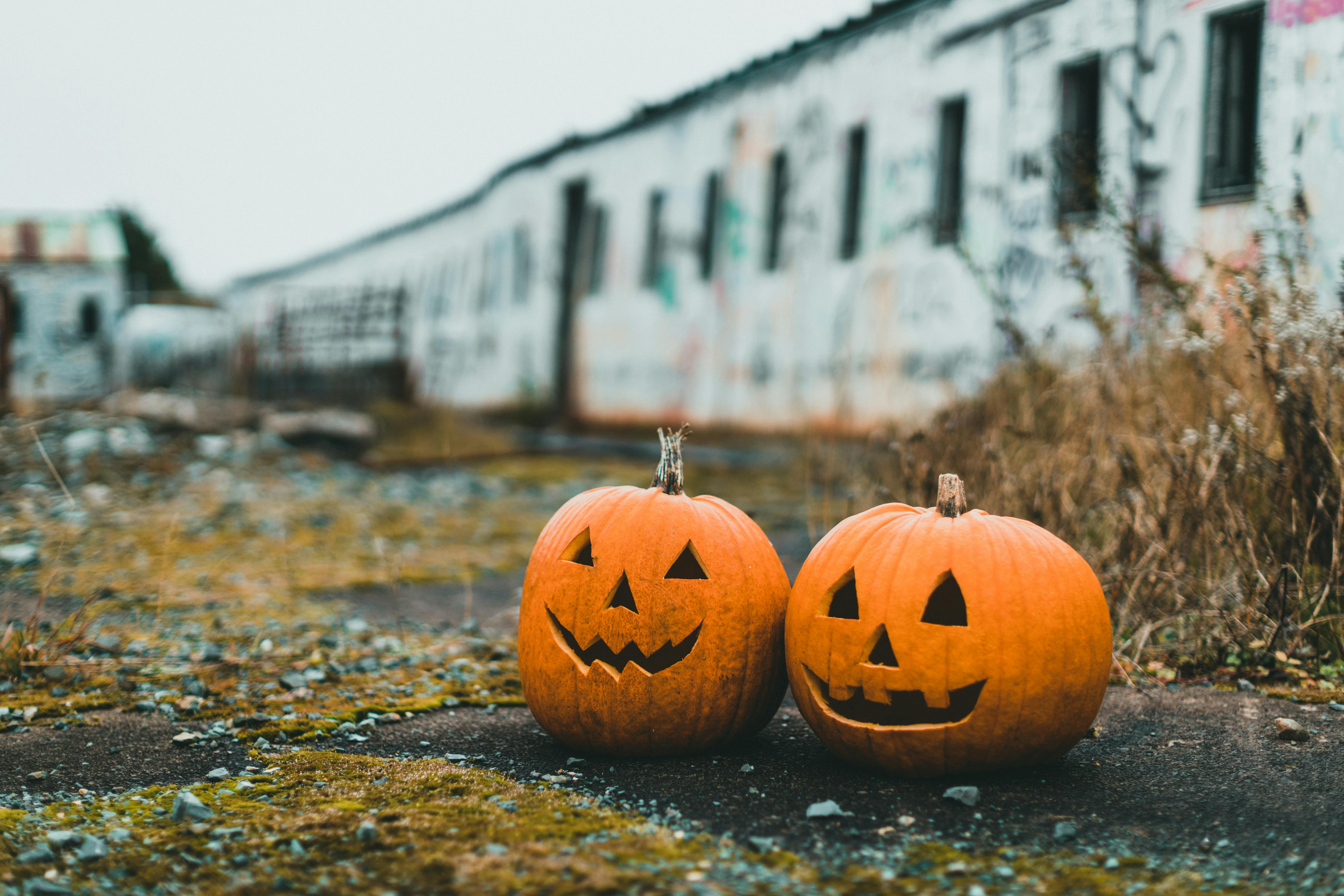 Carved Pumpkins for Halloween · Free Stock Photo