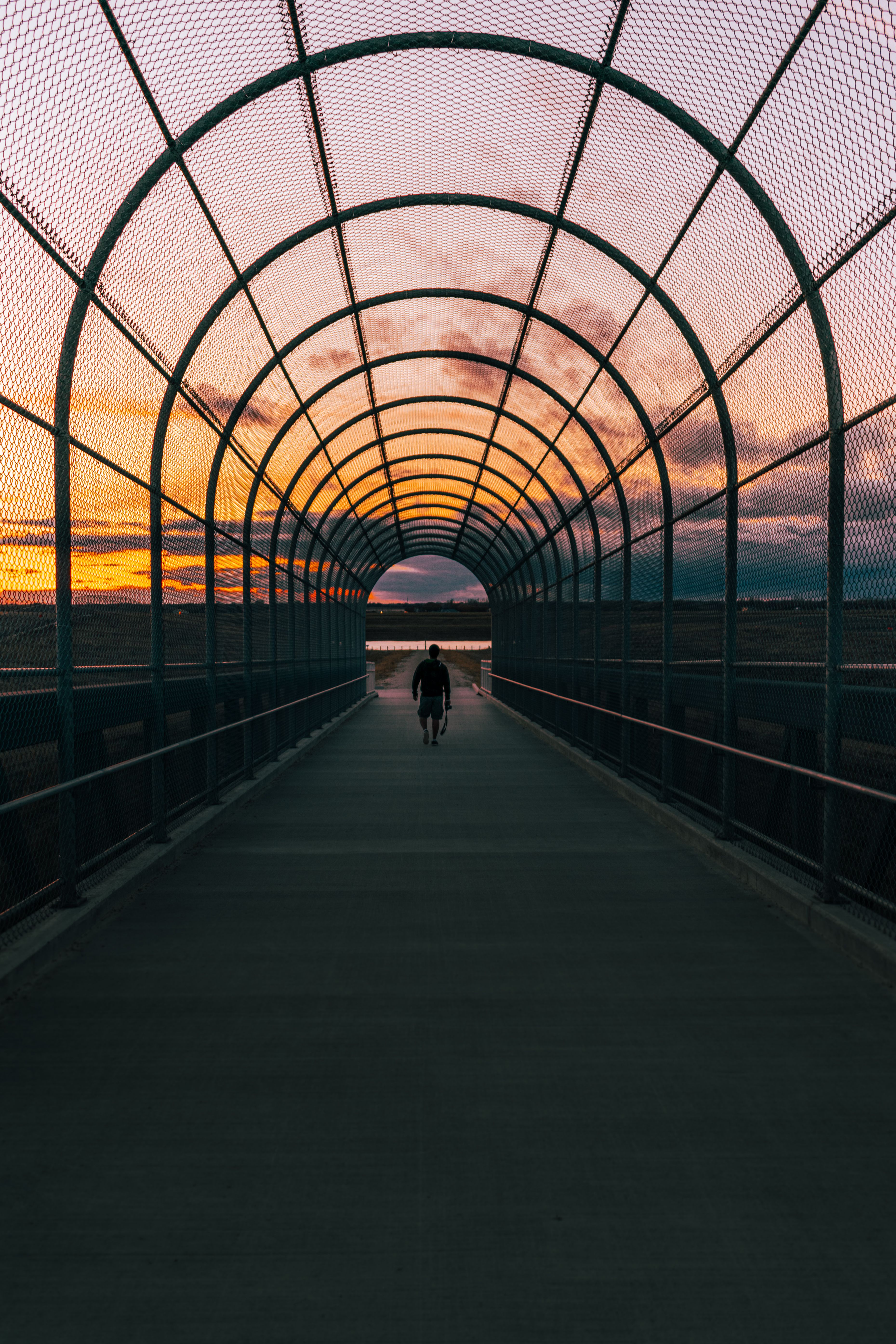 Tunnel at Sunset · Free Stock Photo