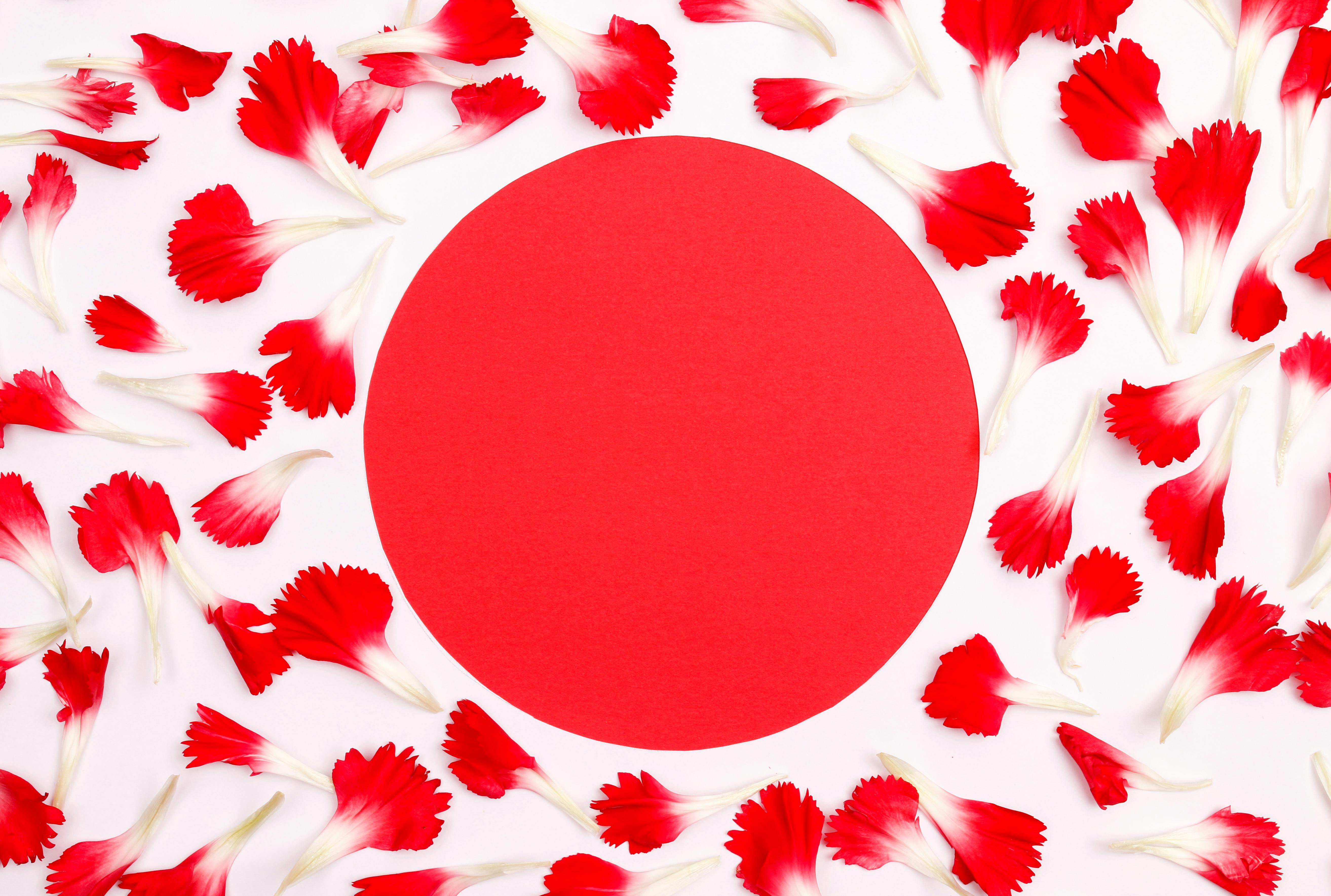 Round Red Paper on a White Surface · Free Stock Photo