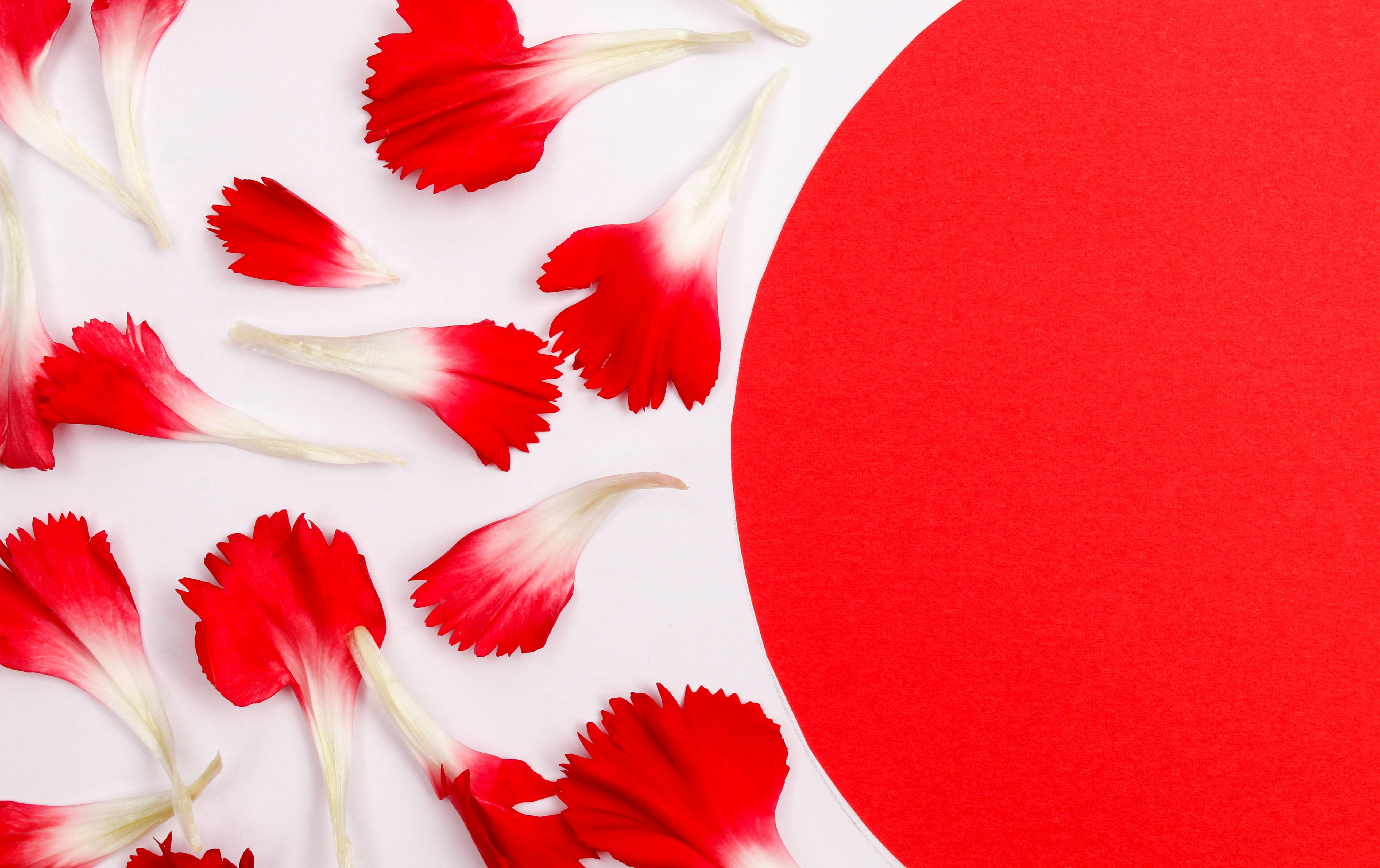 Red Circle with Flower Petals Around · Free Stock Photo
