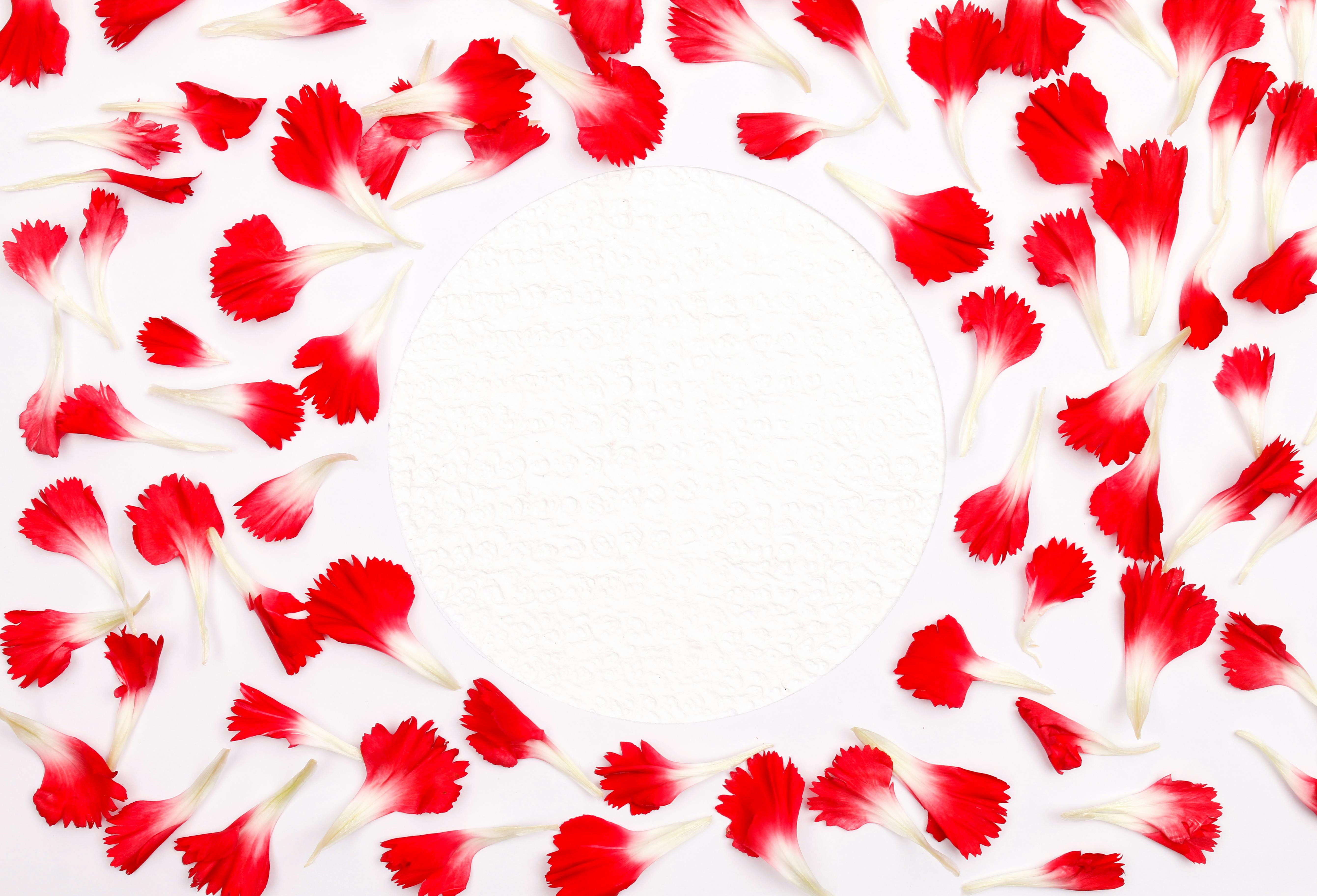 Red Circle with Flower Petals Around · Free Stock Photo