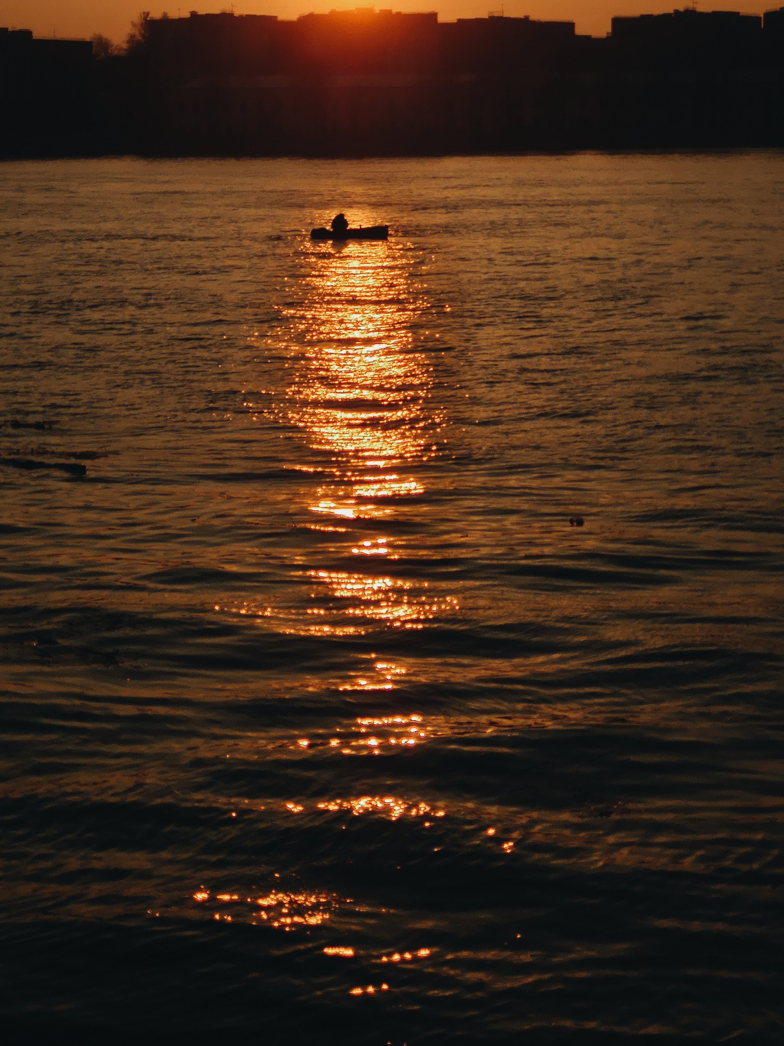 Sunlight Reflecting in Water · Free Stock Photo