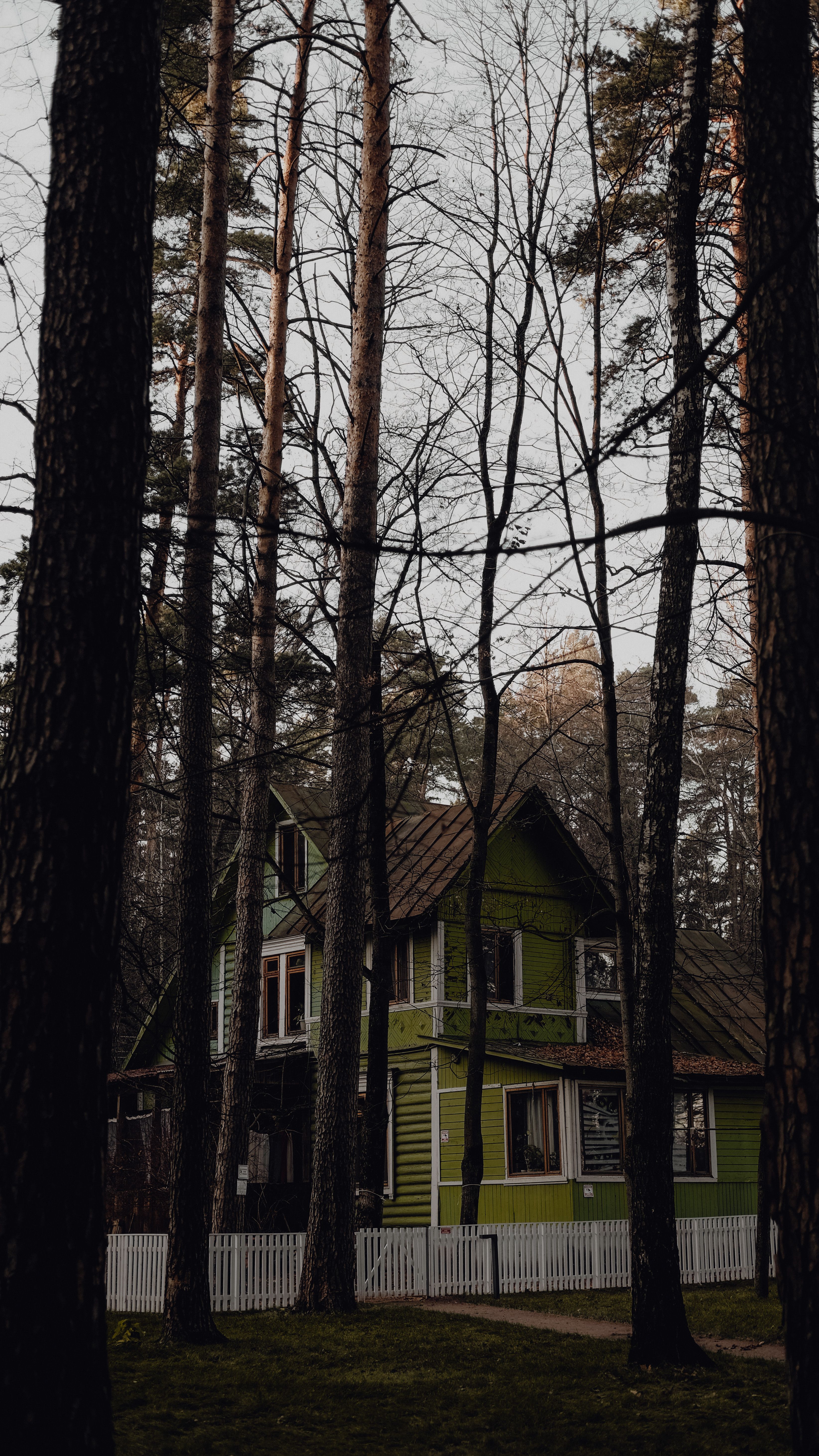Photo of a Green House · Free Stock Photo