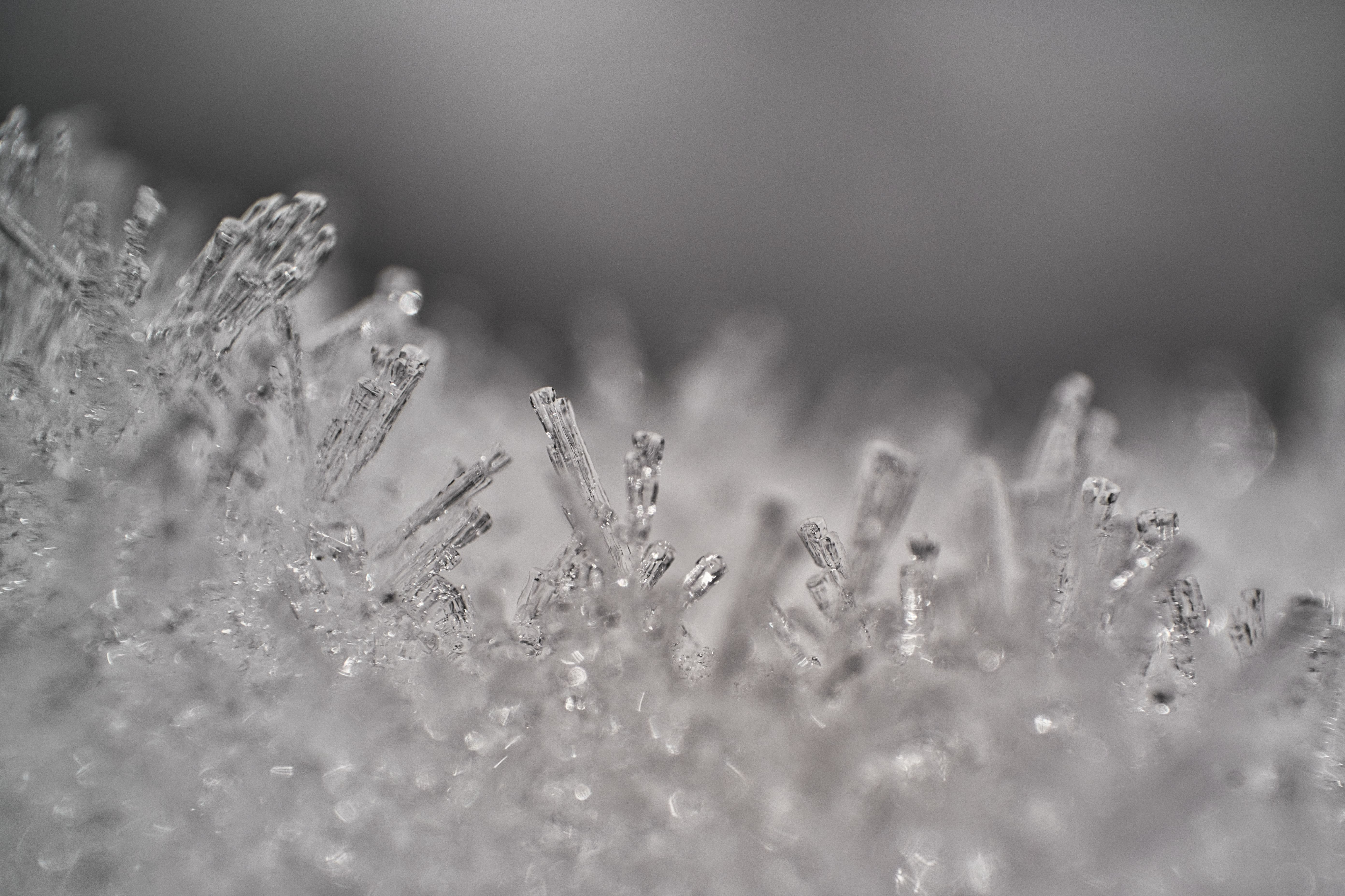 Ice Crystals in Close-up Shot · Free Stock Photo