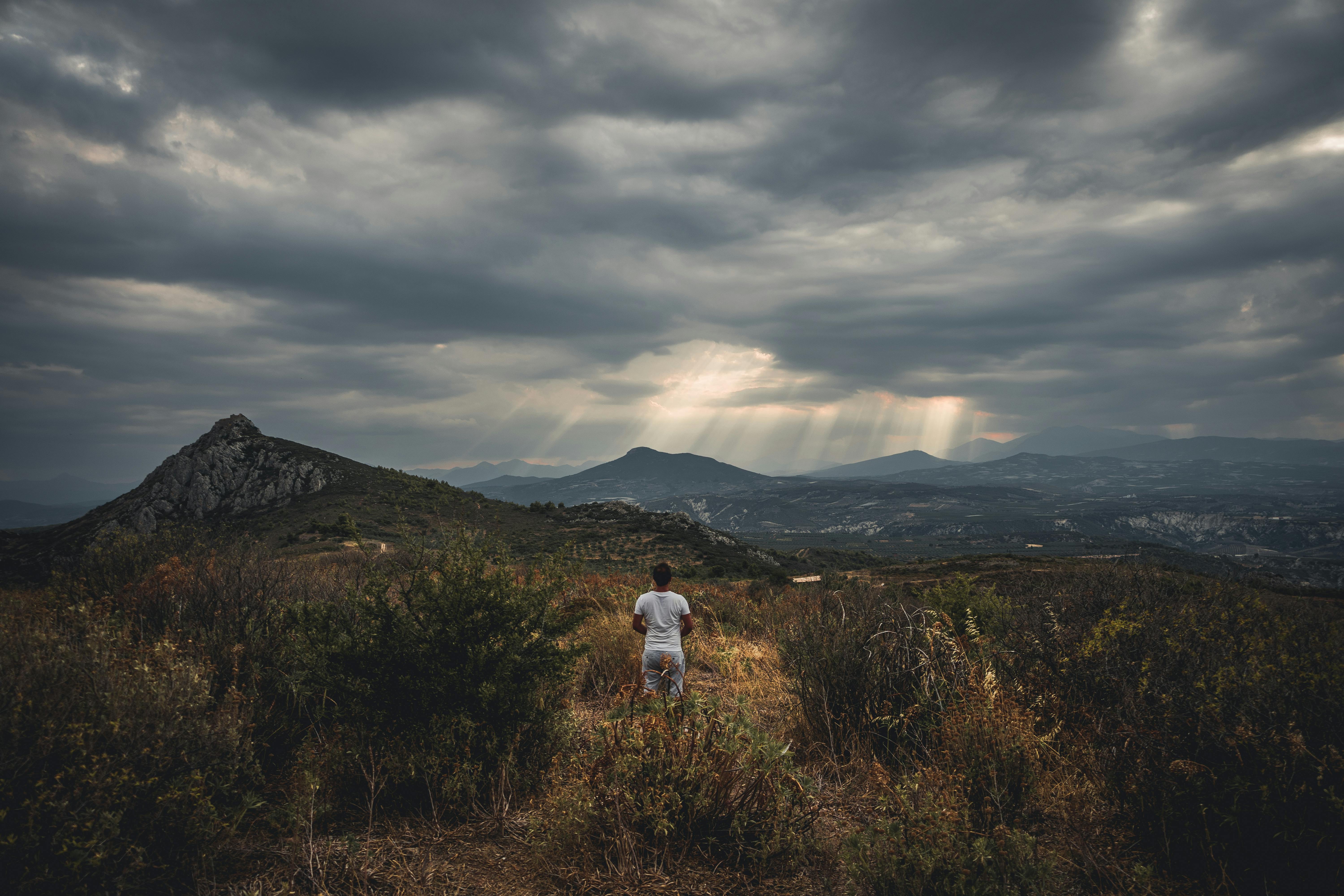 Person Looking Afar Standing on Grass Field · Free Stock Photo