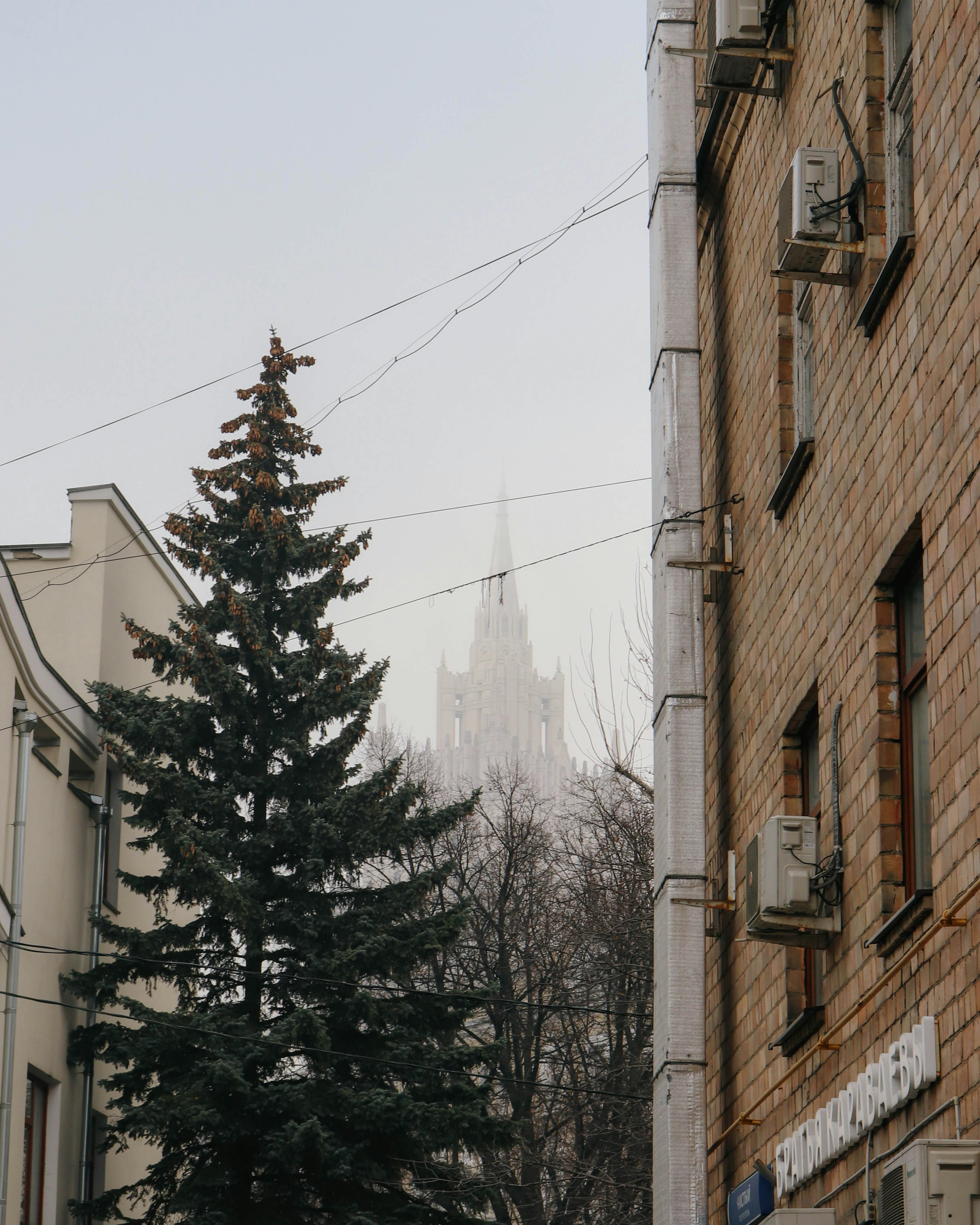 Evergreen Border Photos, Download Free Evergreen Border Stock Photos ...