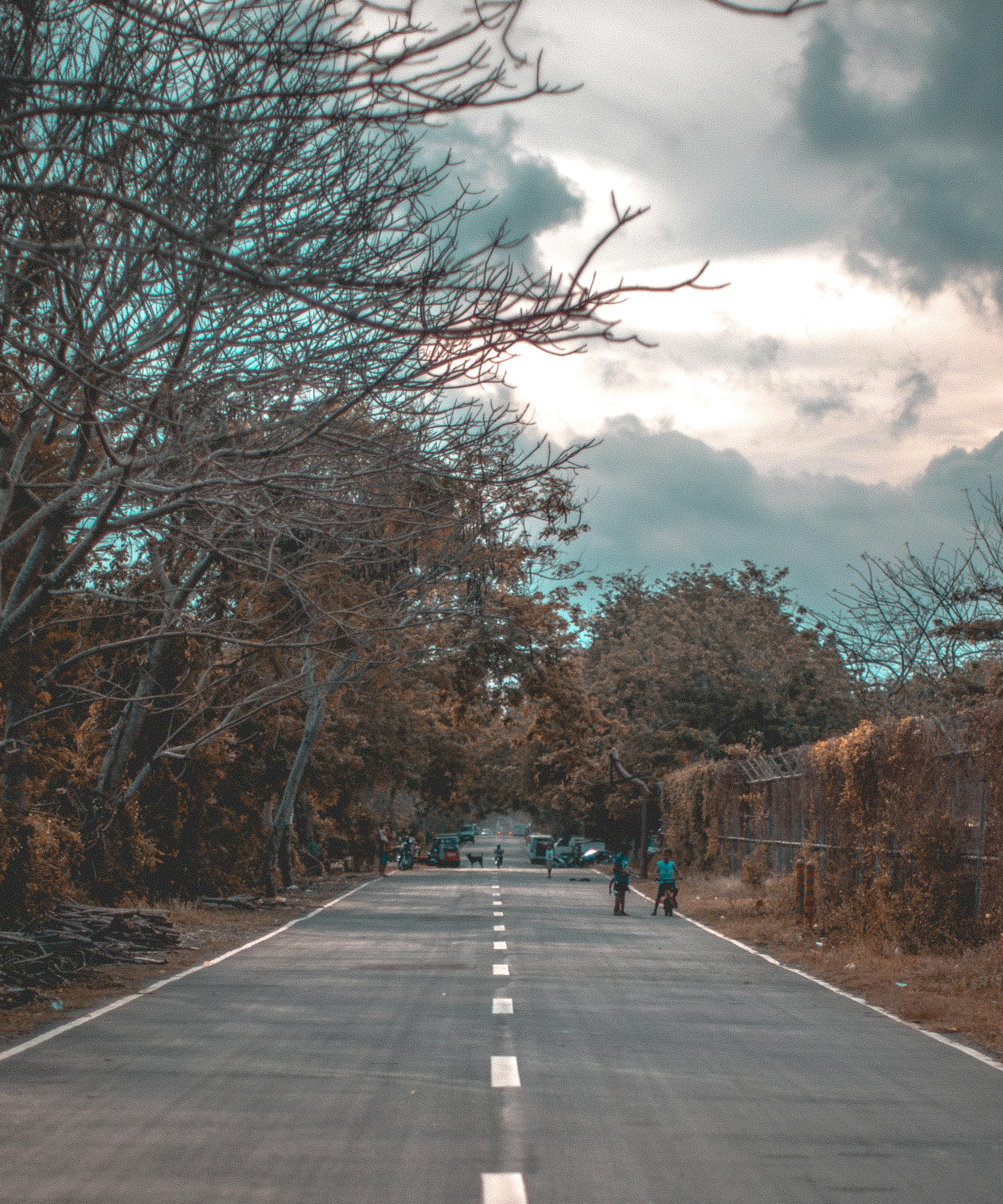 Photo of Road near Trees · Free Stock Photo