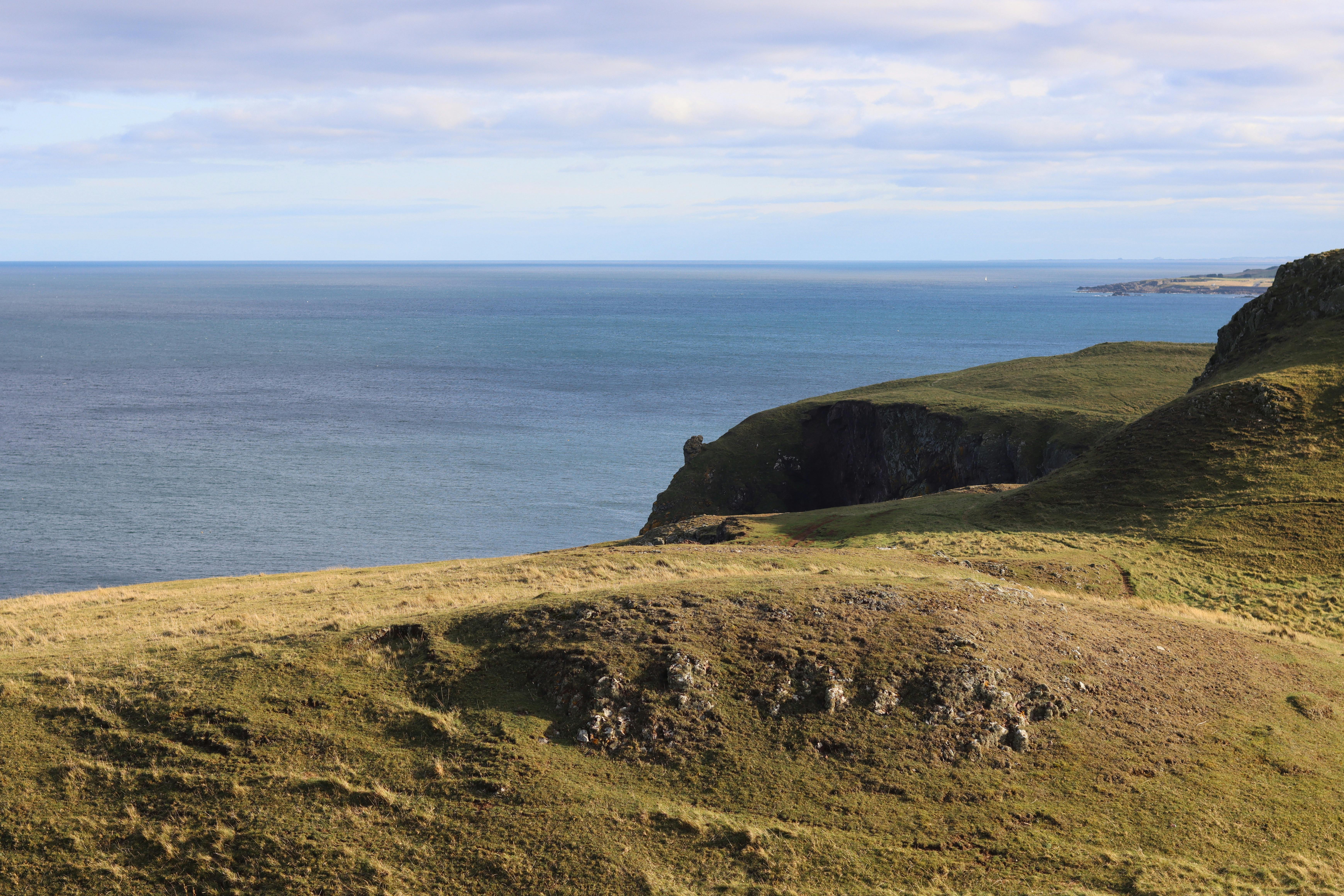 Green Grass Field Near Body of Water · Free Stock Photo