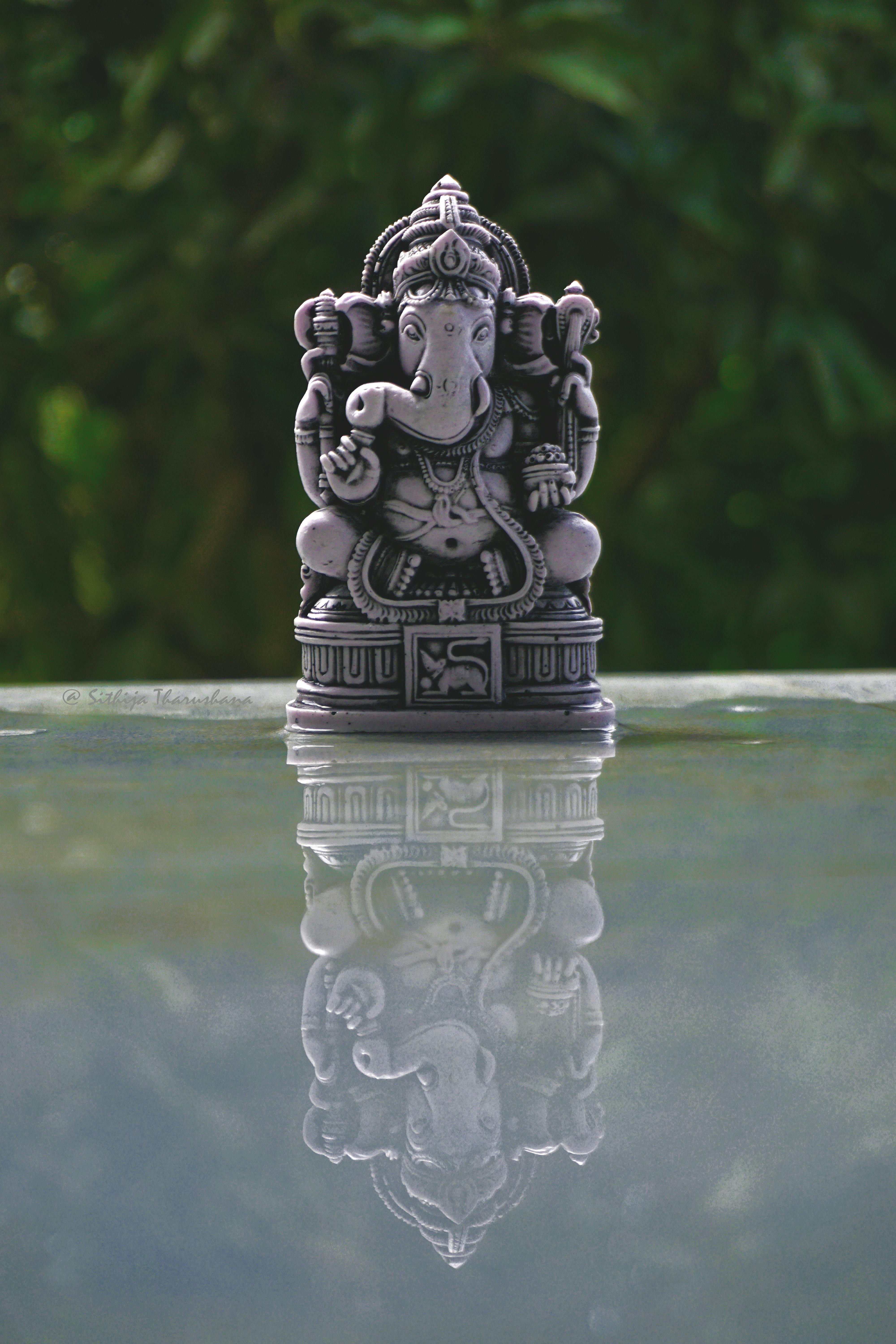 Sithija Tharush - 摄影