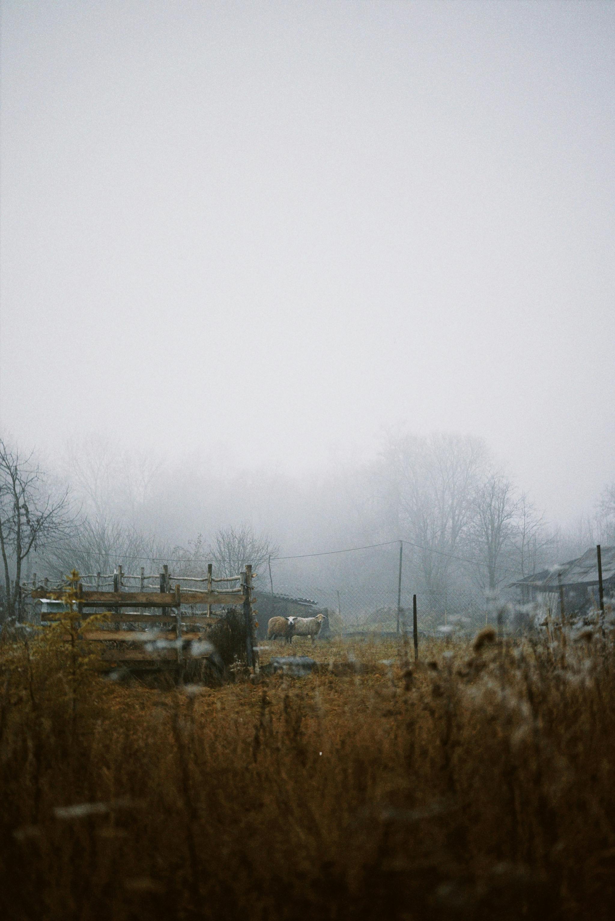 Aerial View of City during Sunset · Free Stock Photo