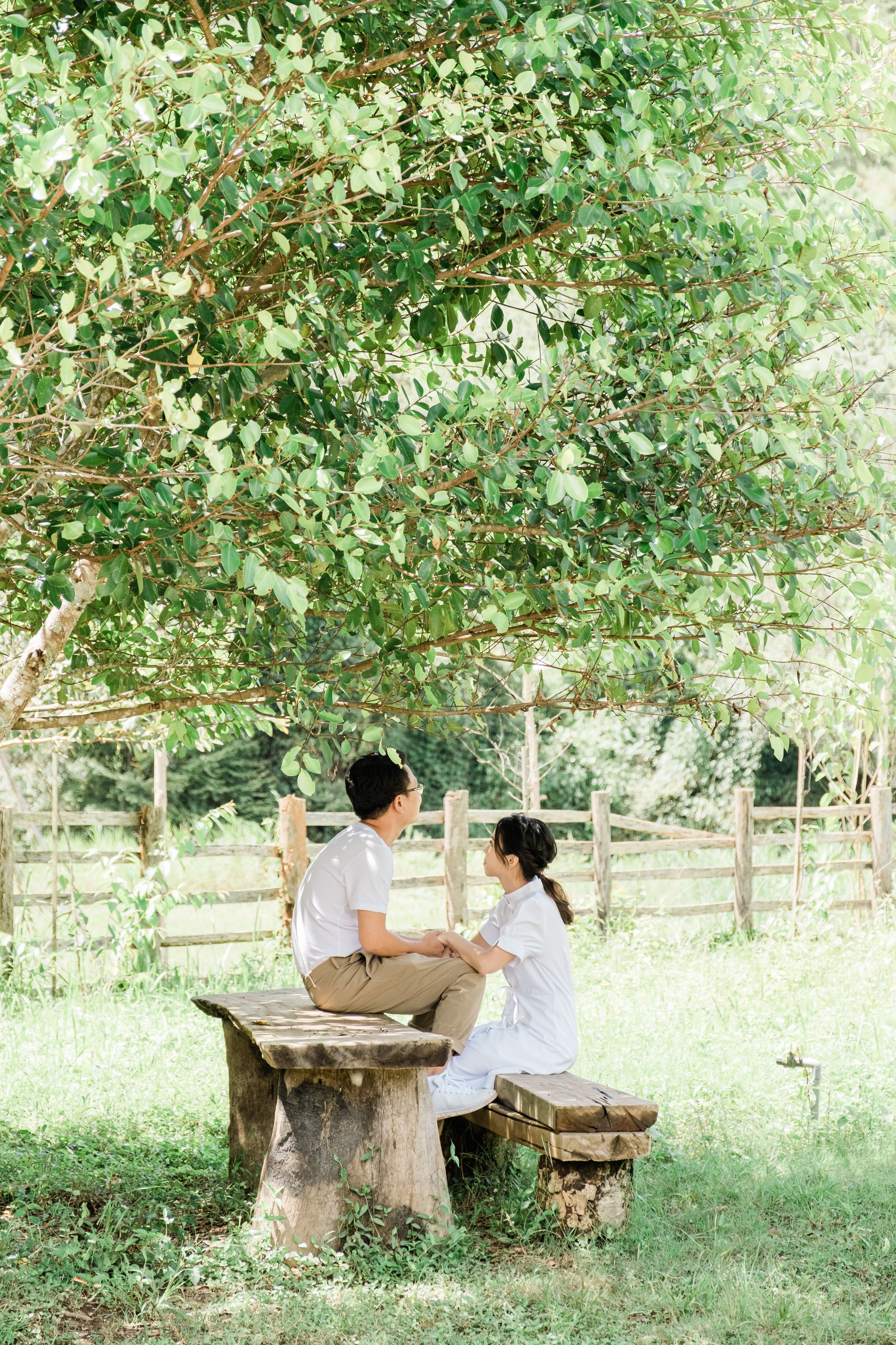 Couple Sitting by Wooden Table under Tree · Free Stock Photo