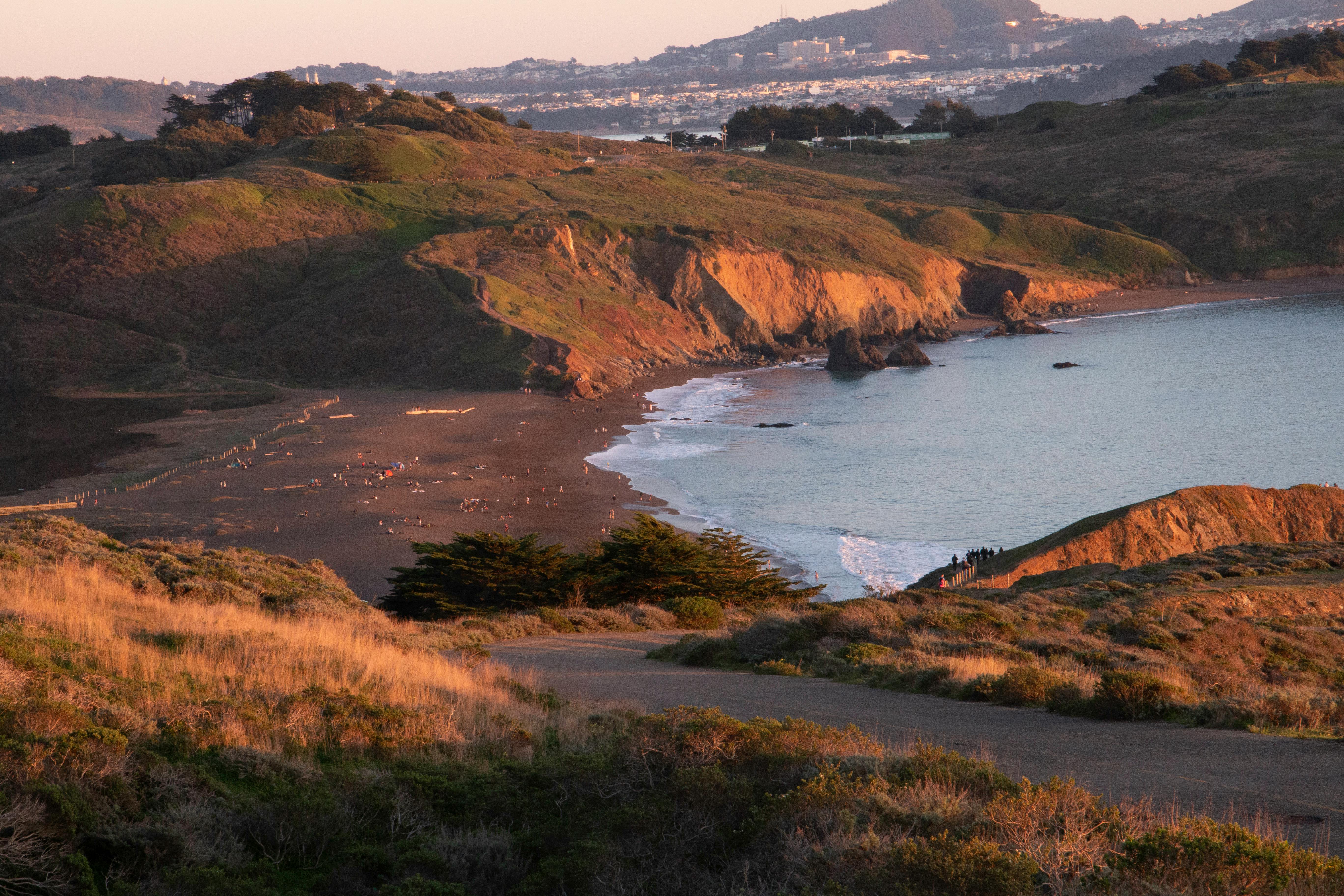 Panoramic View of the Beach · Free Stock Photo