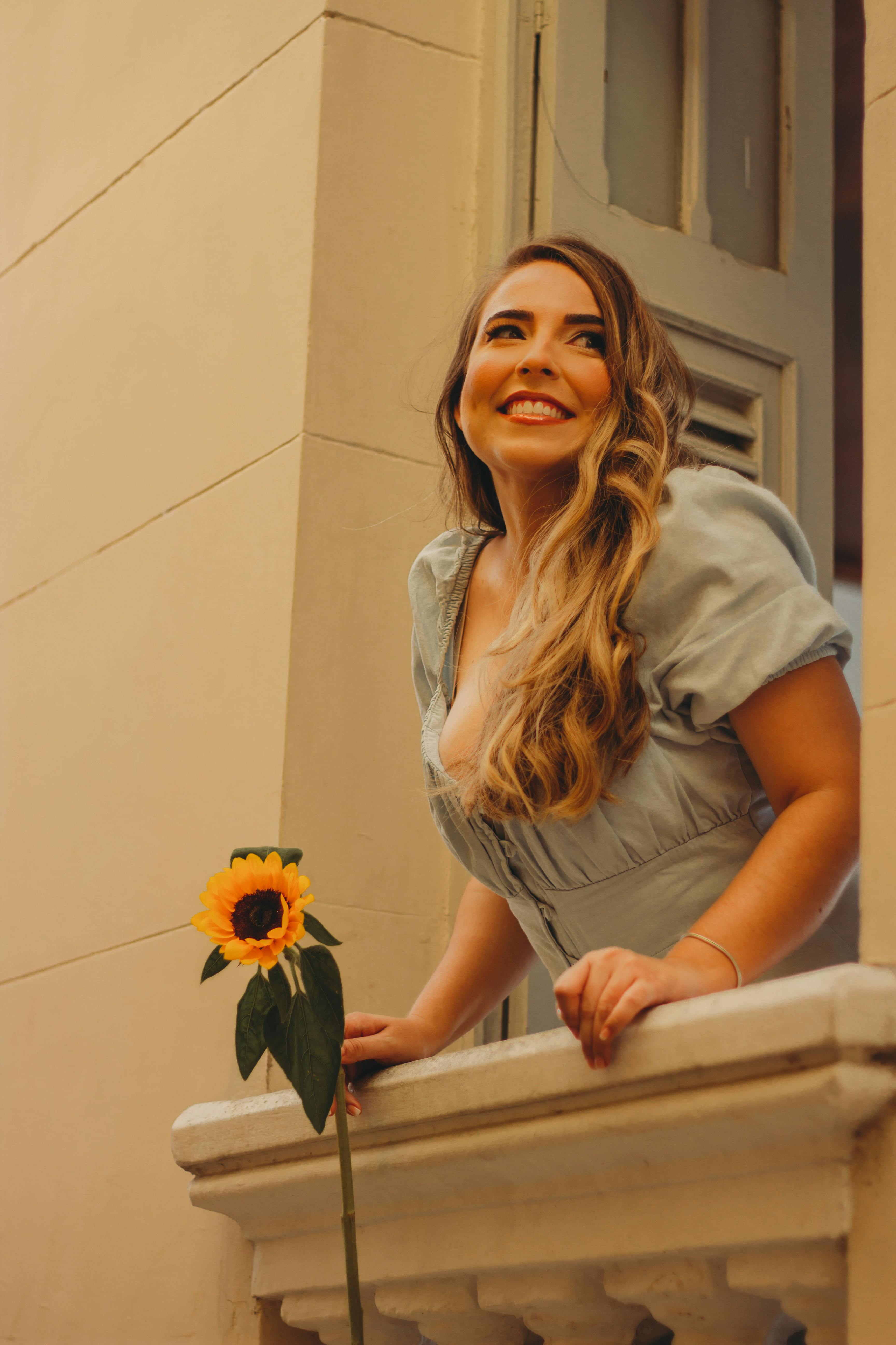 Sunflower Movement Photos, Download Free Sunflower Movement Stock ...