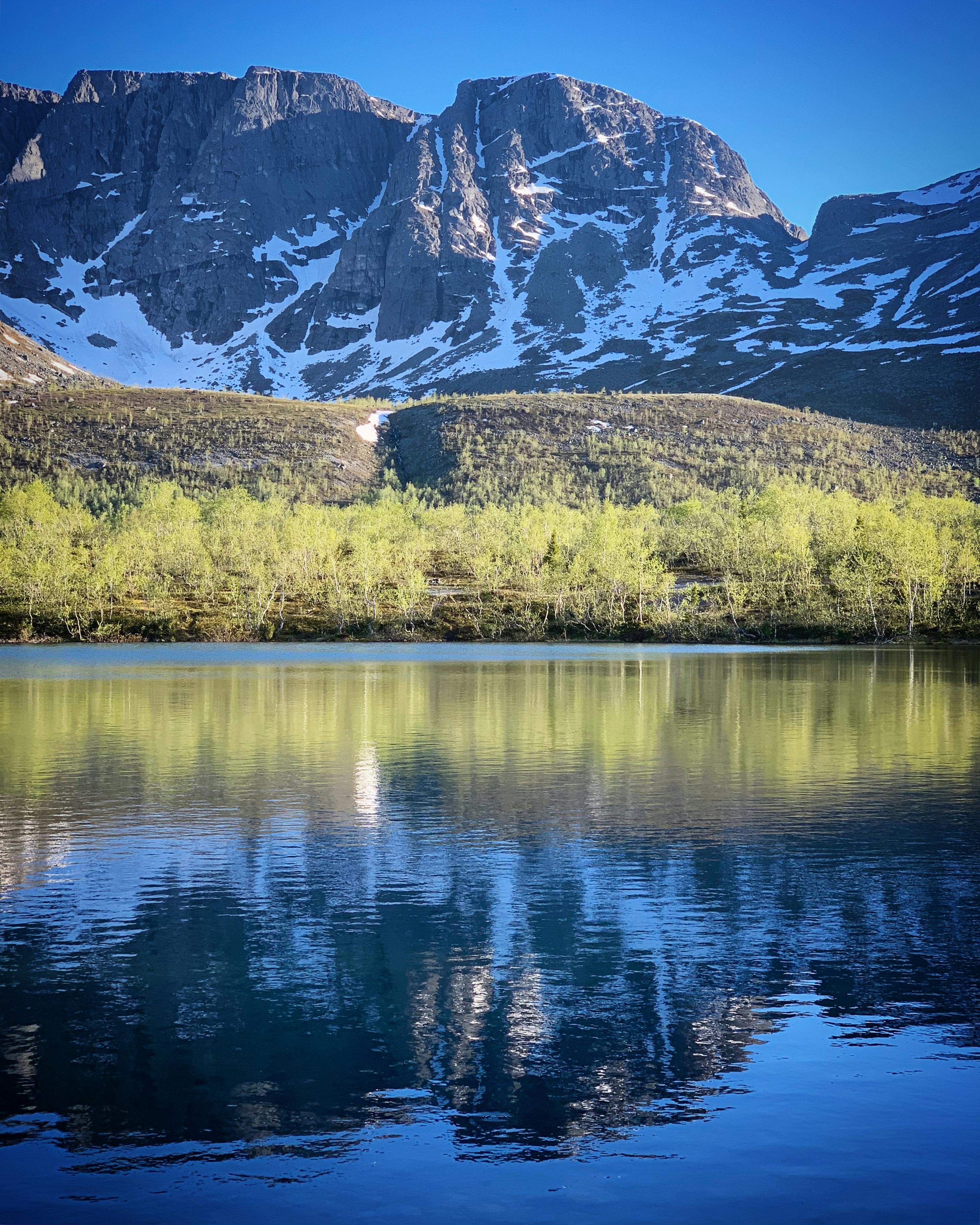 Spring Snow Wallpaper Photos, Download The BEST Free Spring Snow ...