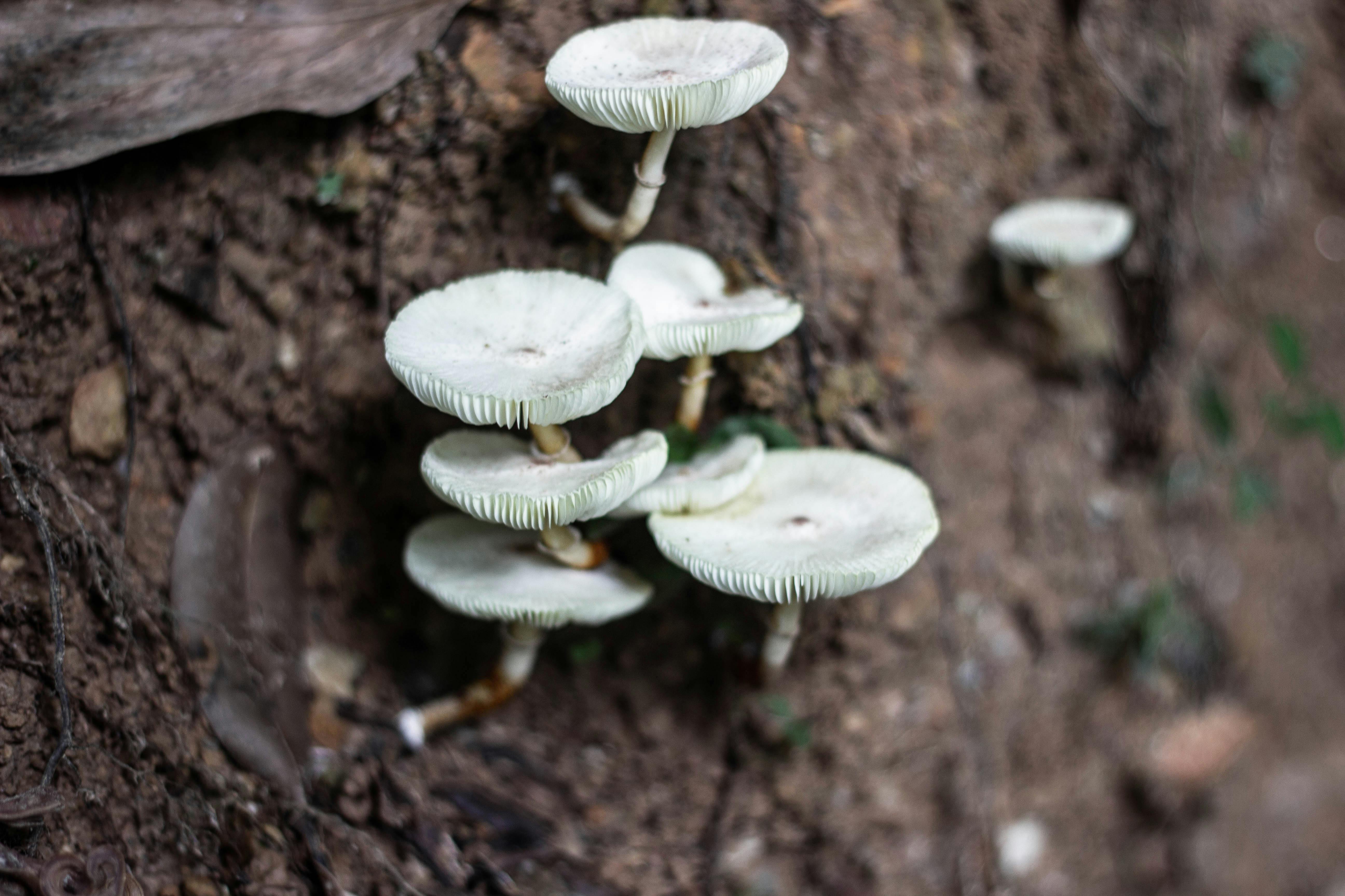 Hussam Bin Nasser - 사진