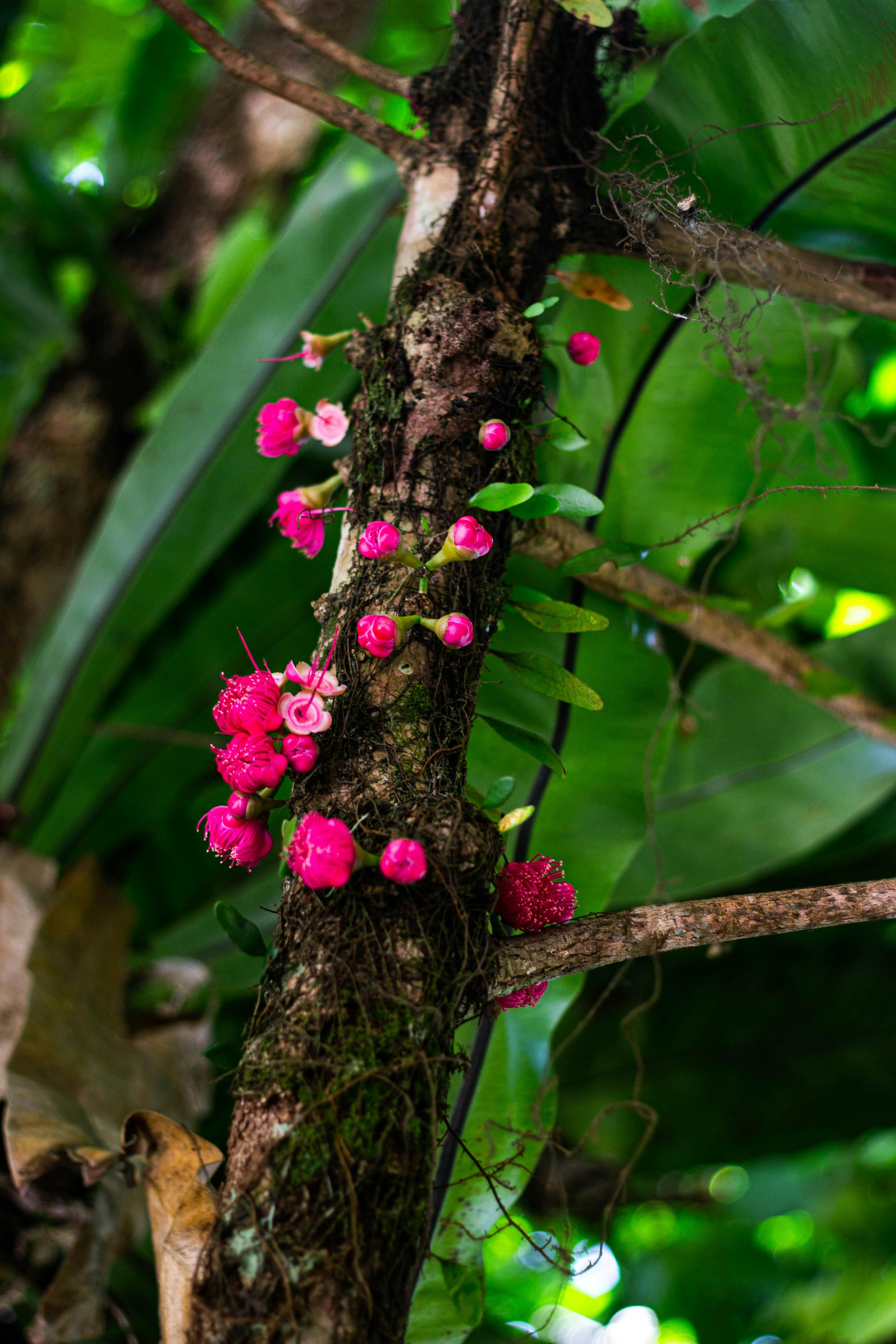 Hussam Bin Nasser - 사진