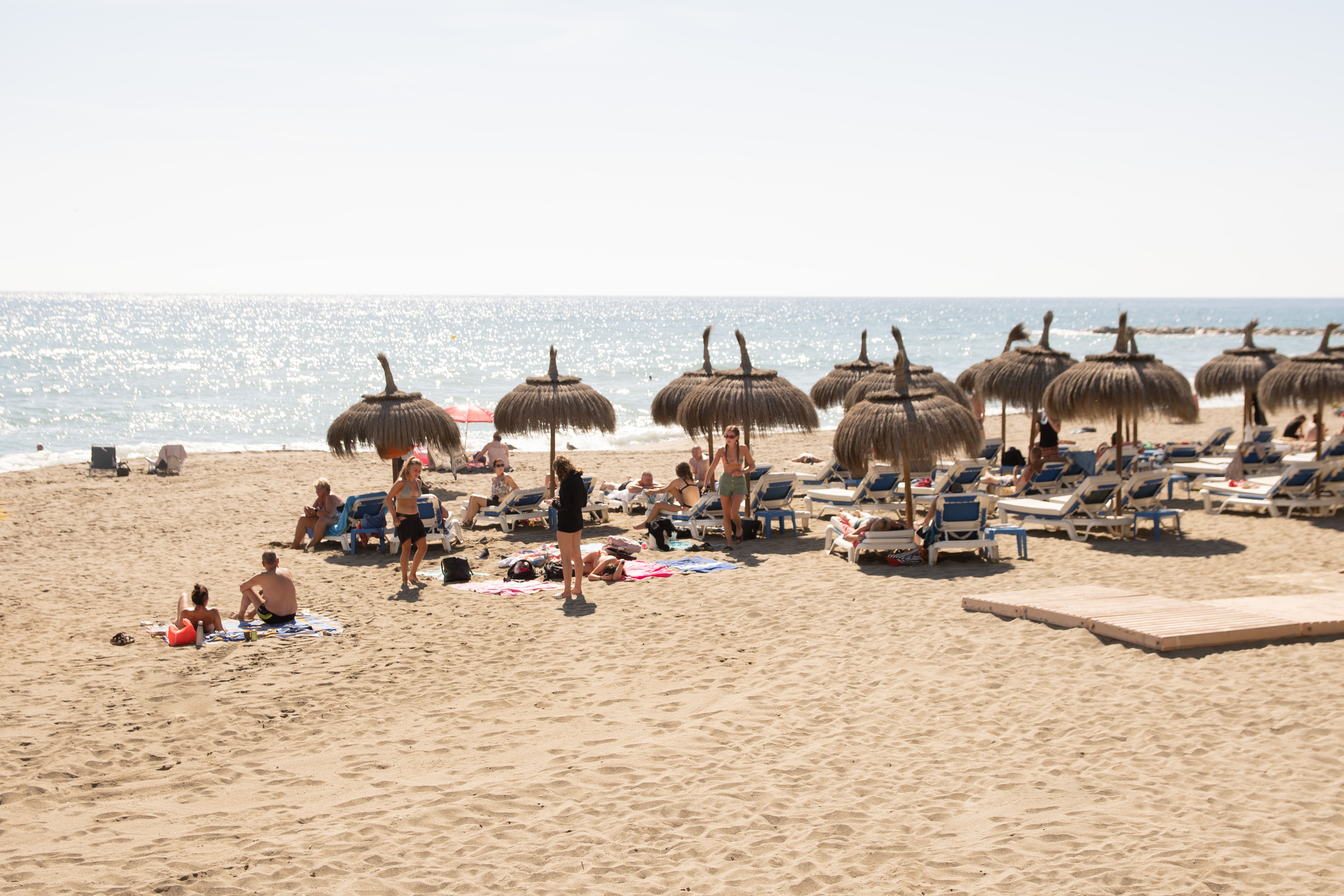 People Relaxing at the Beach · Free Stock Photo