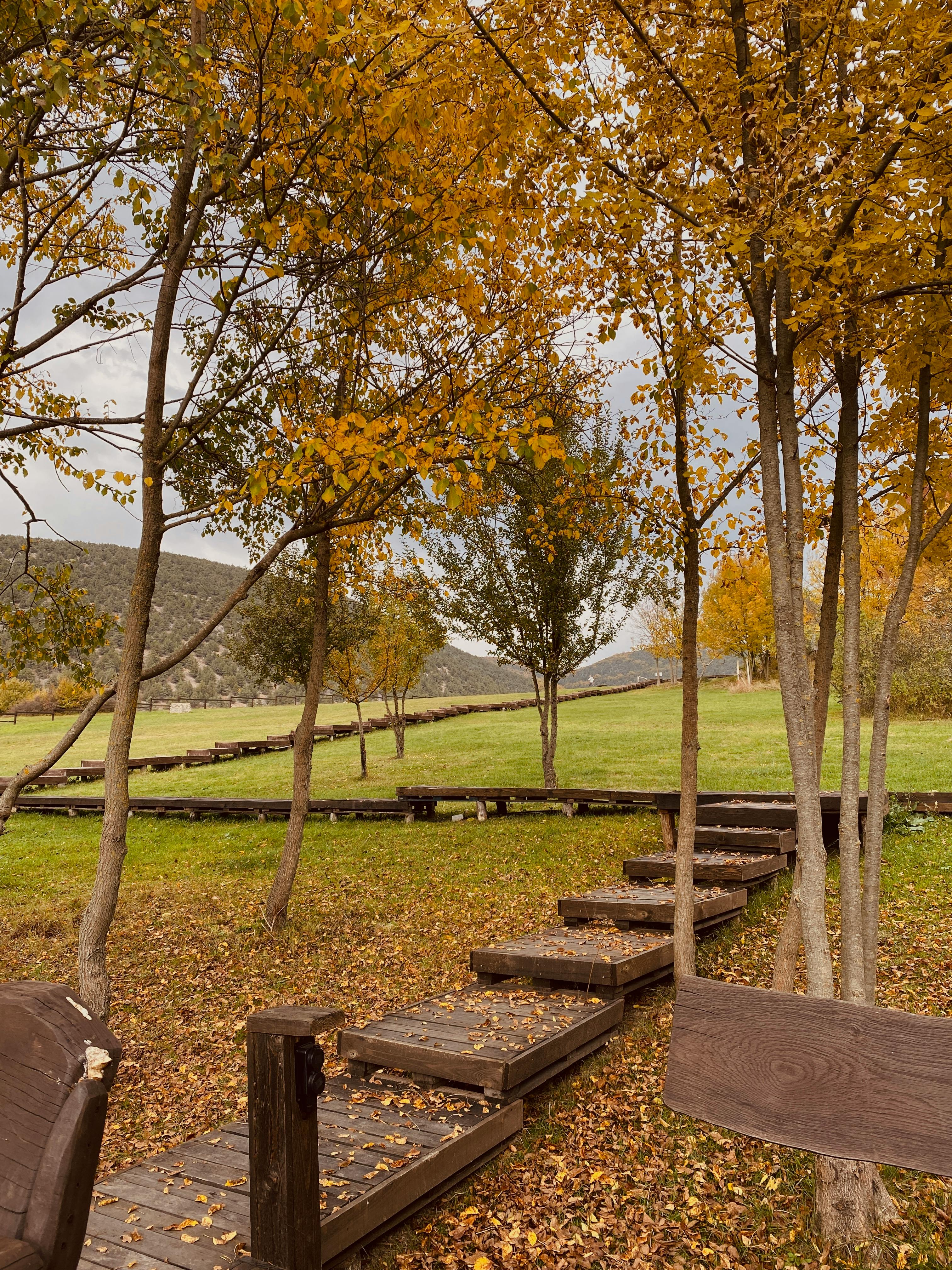 Brown Wooden Walkway on Green Grass Field · Free Stock Photo