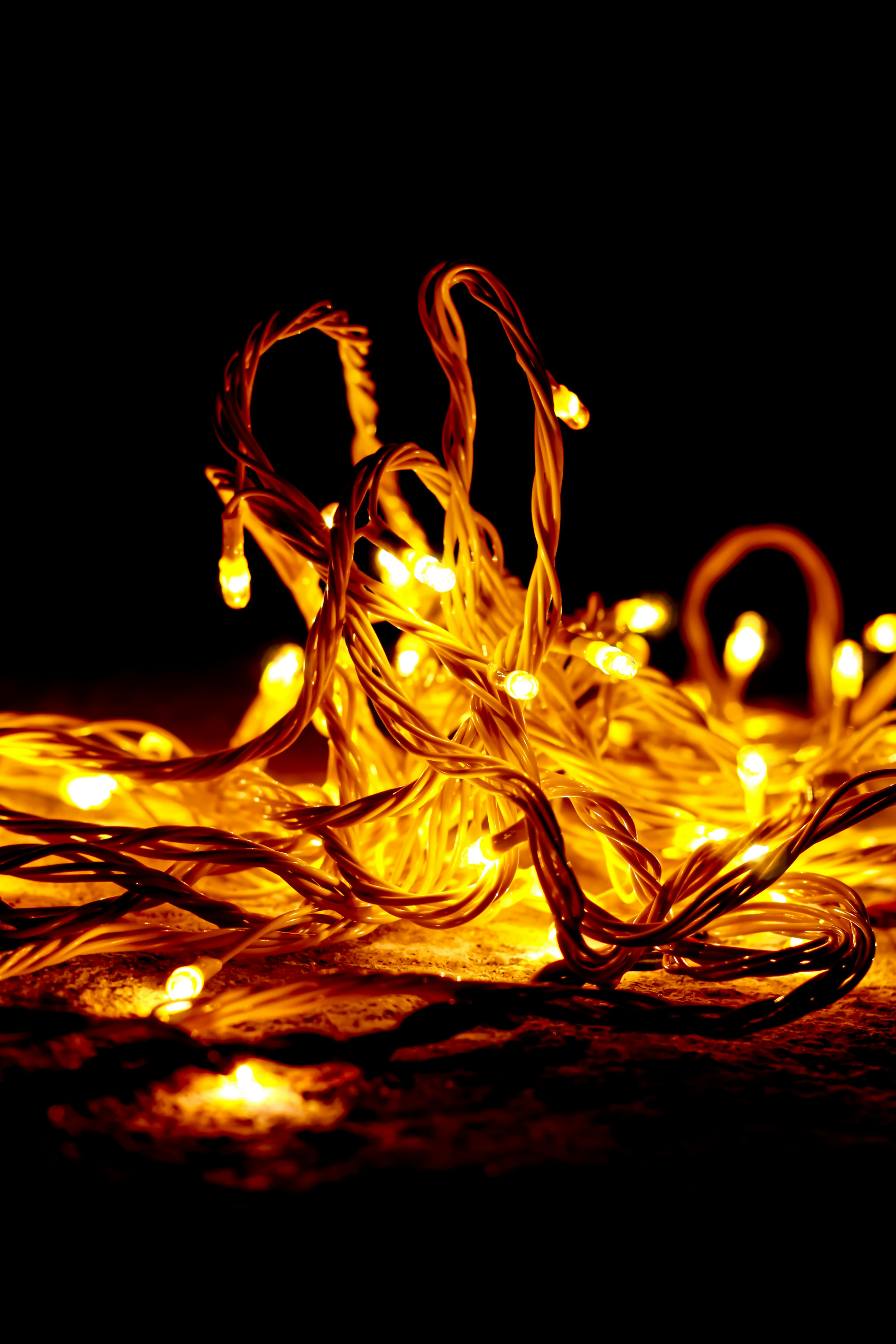 Man Holding Lit Fairy Lights · Free Stock Photo