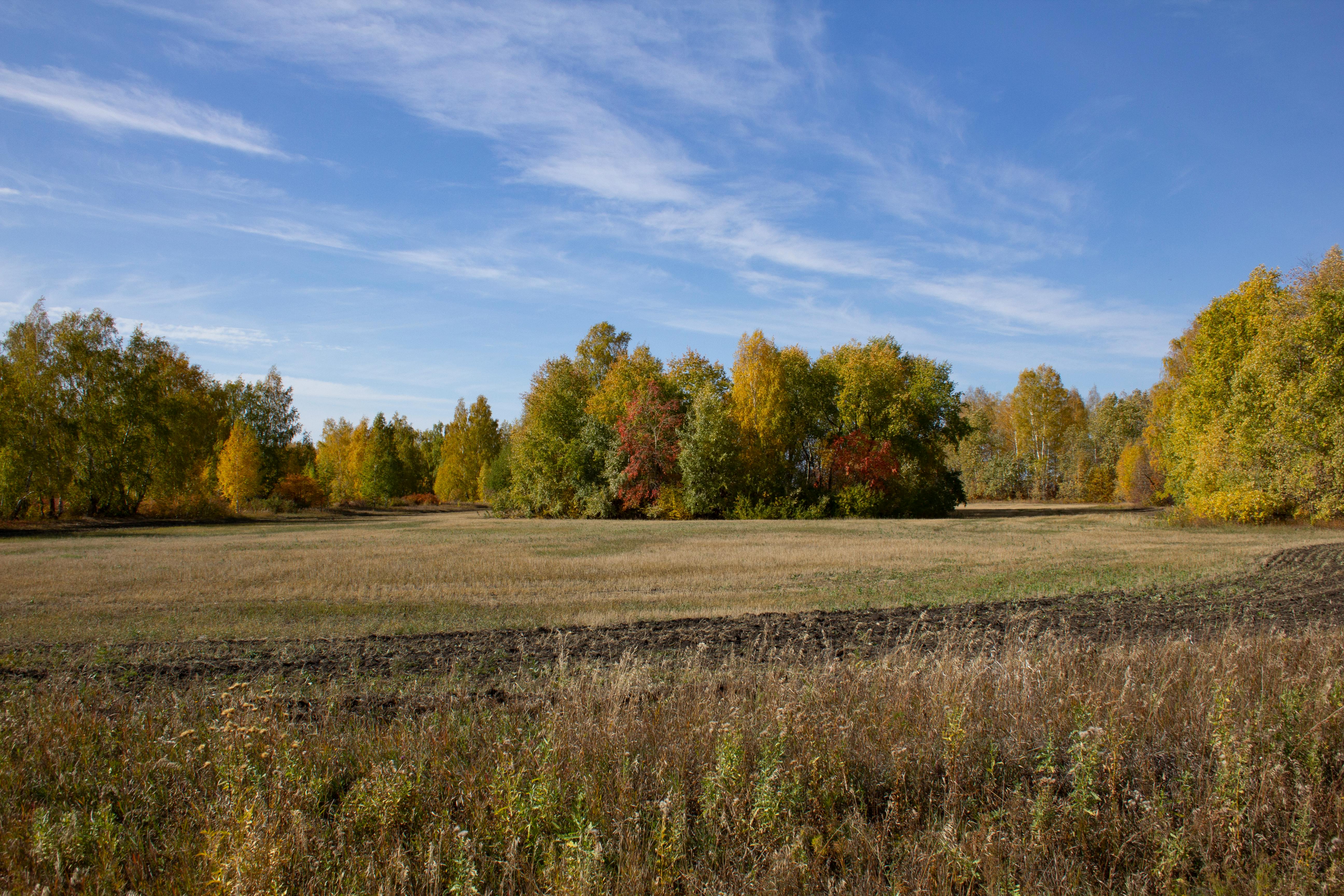 Land Tilled in the Farm Field · Free Stock Photo