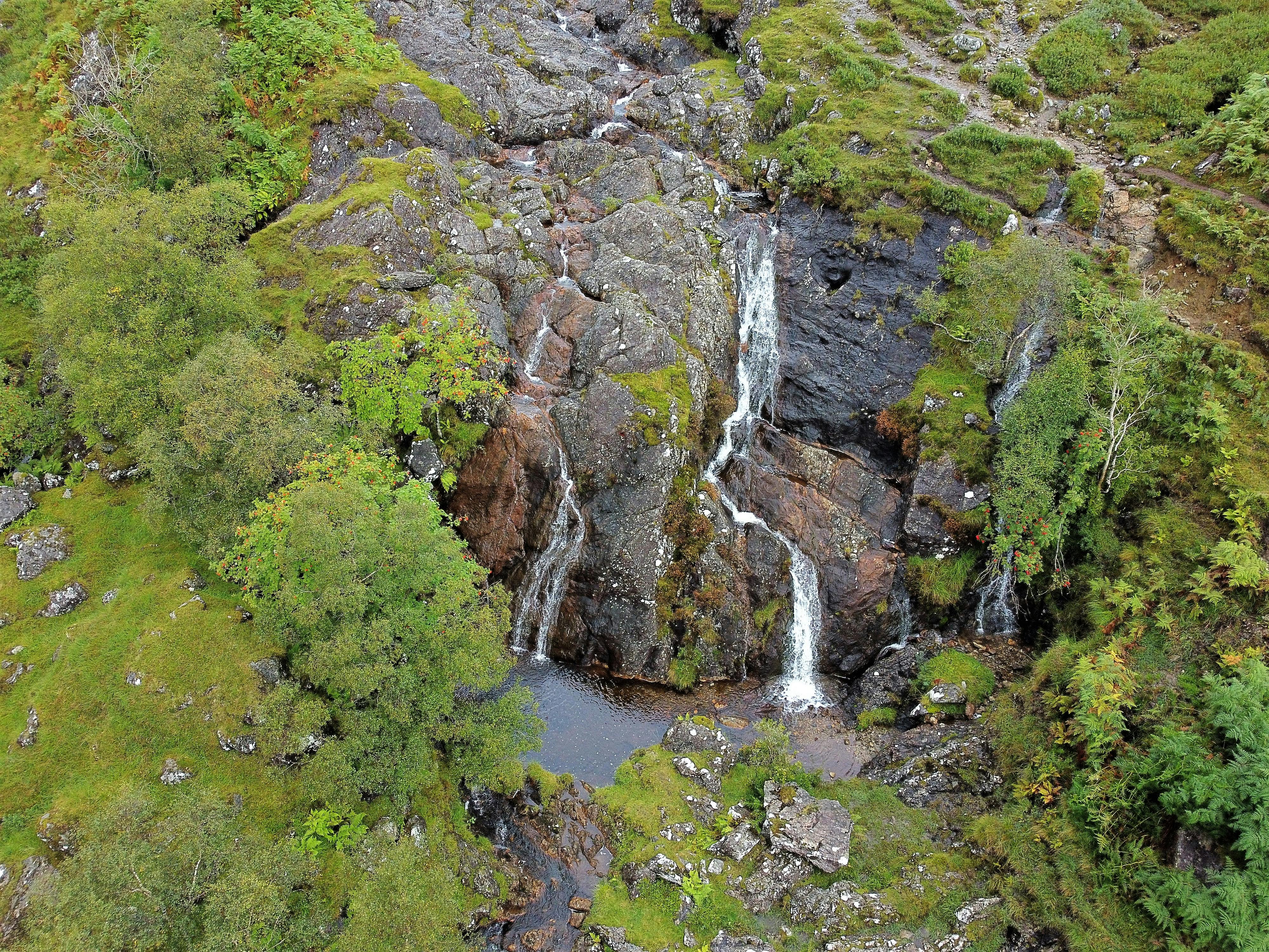 Birds Flying over Waterfalls · Free Stock Photo