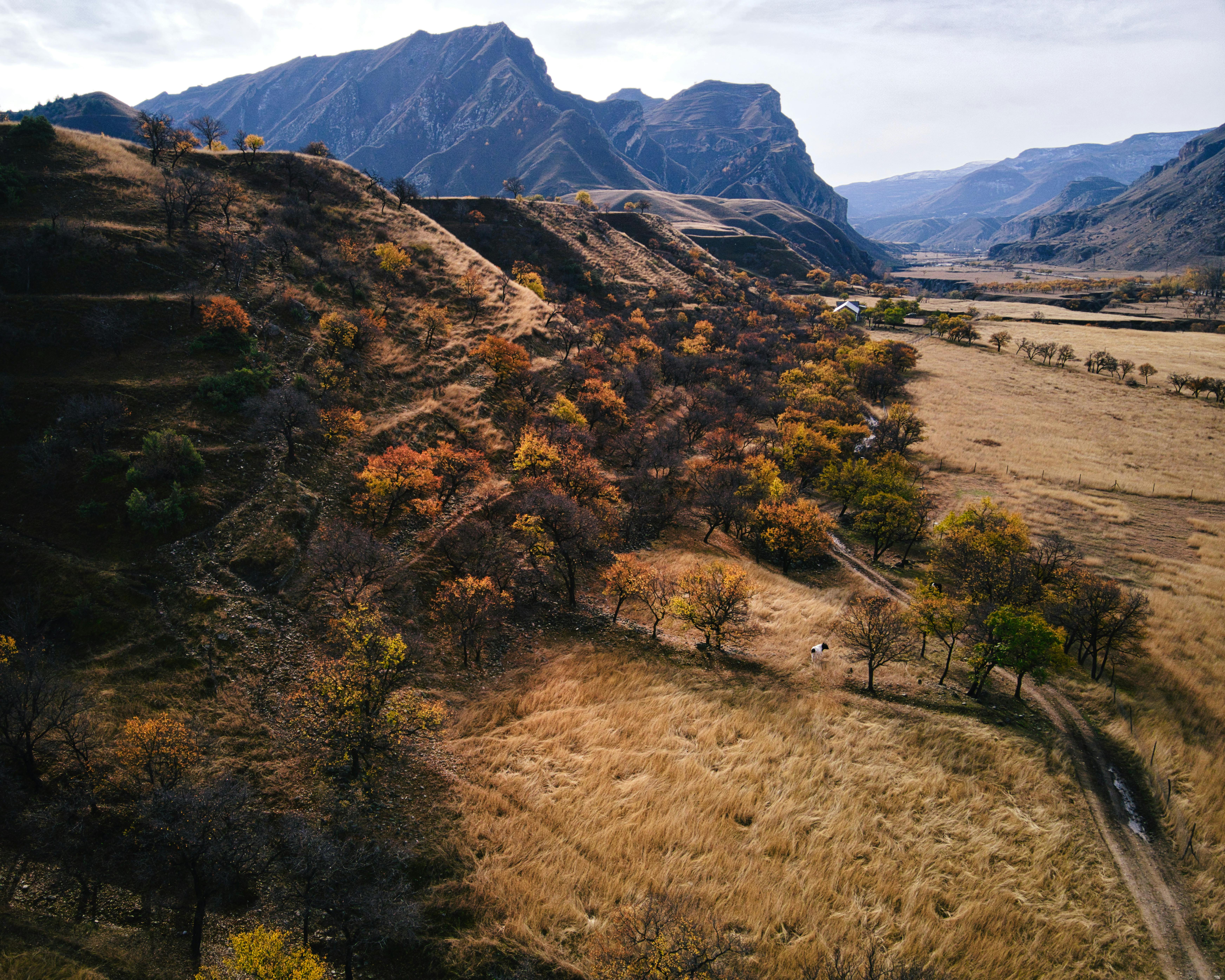 High Angle View of Pasture and Mountains in Autumn · Free Stock Photo