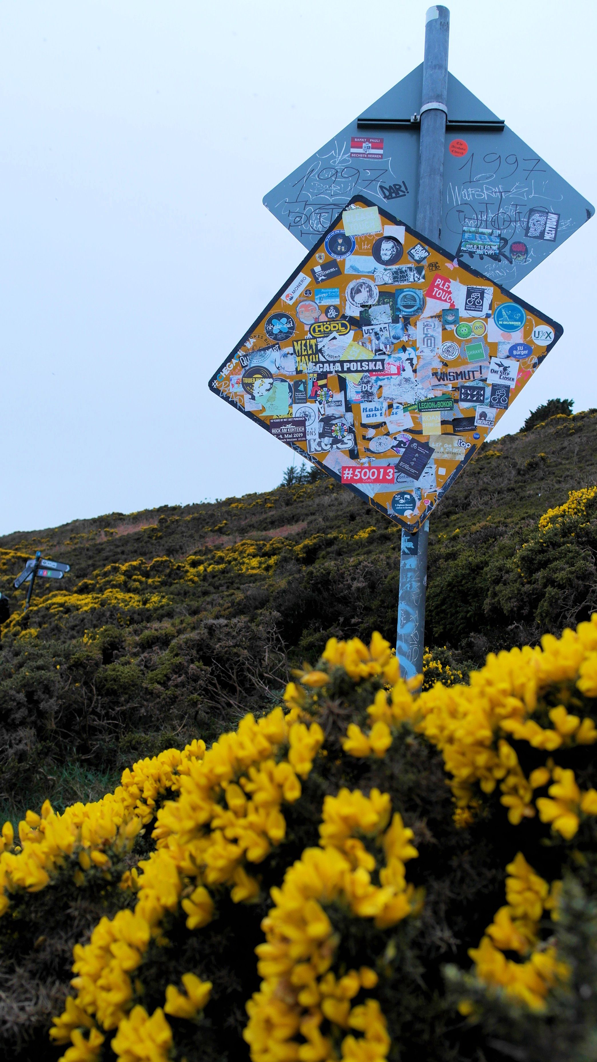 Stickers on a Road Sign Near Yellow Flowers · Free Stock Photo