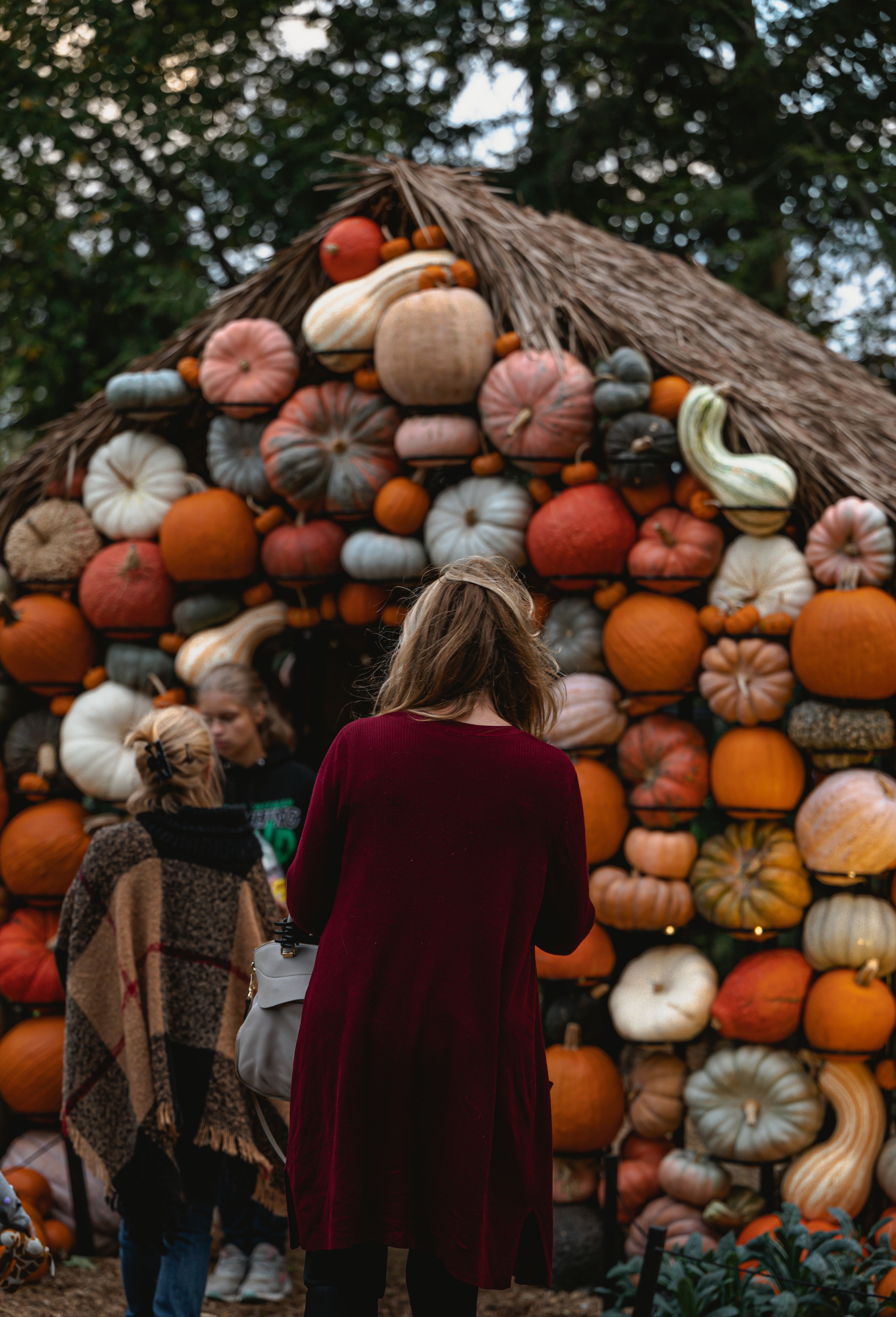 People Standing with Pumpkins · Free Stock Photo