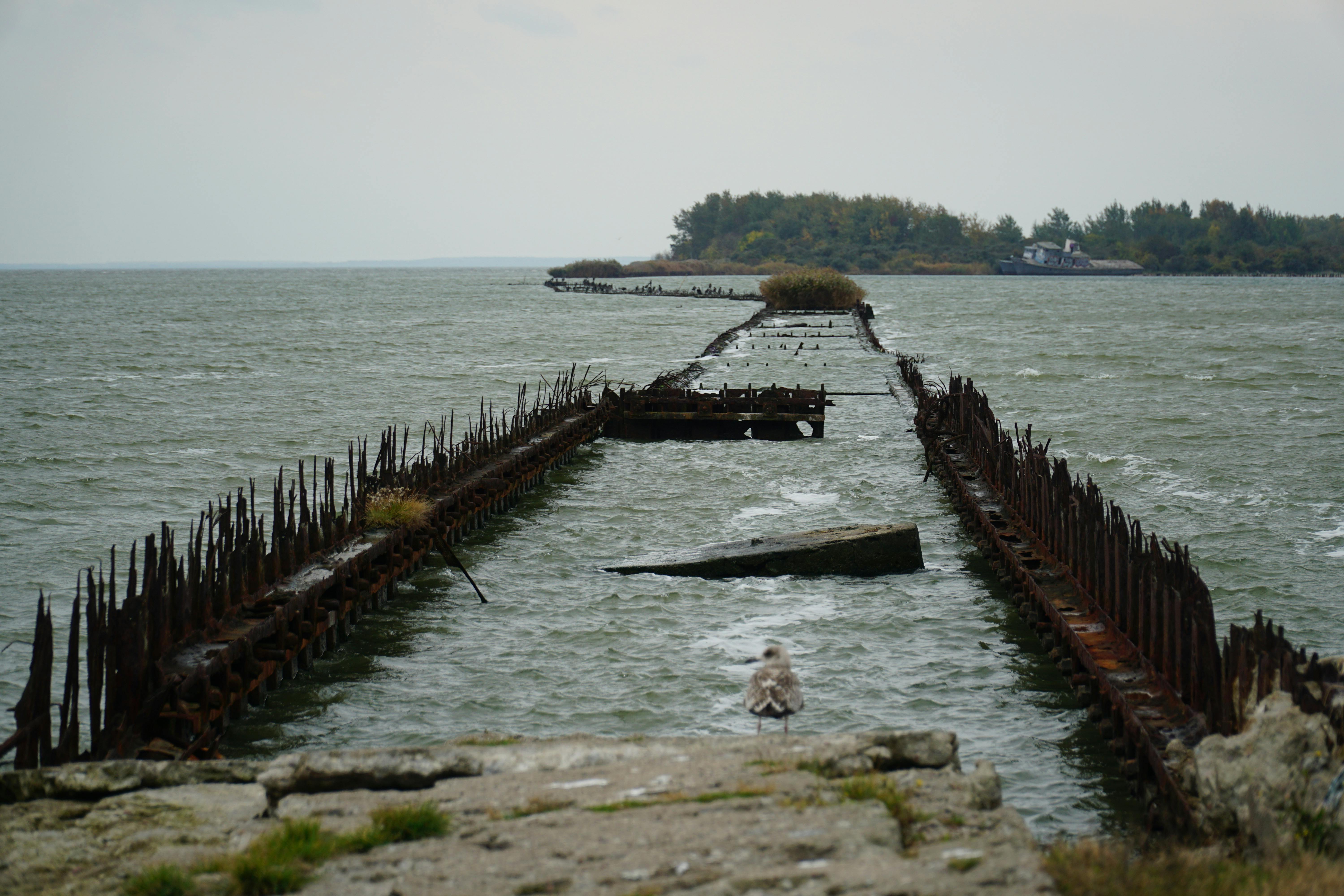 Pier Review Photos, Download The BEST Free Pier Review Stock Photos ...