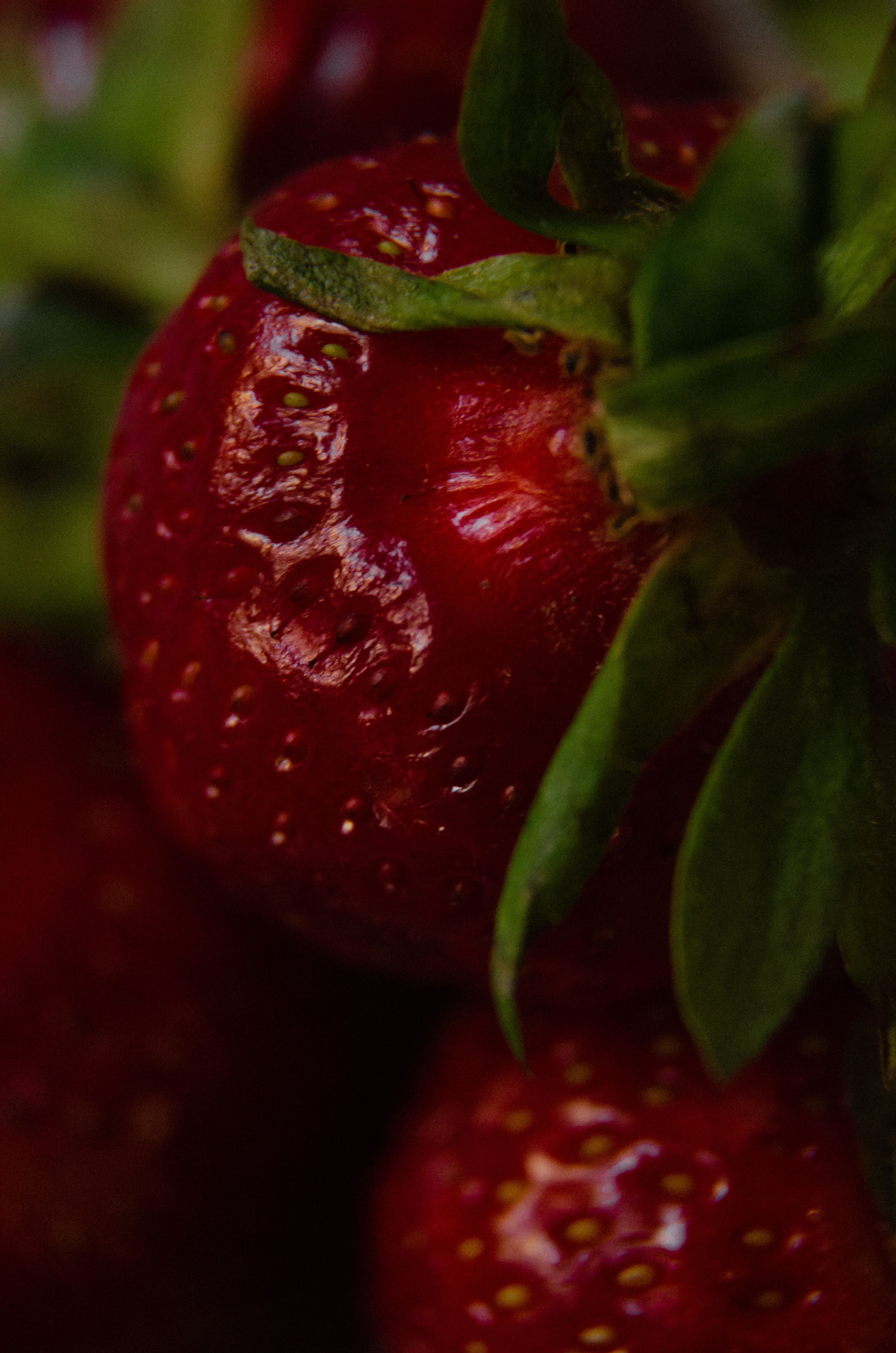Red Strawberry Fruit in Close Up Photography · Free Stock Photo