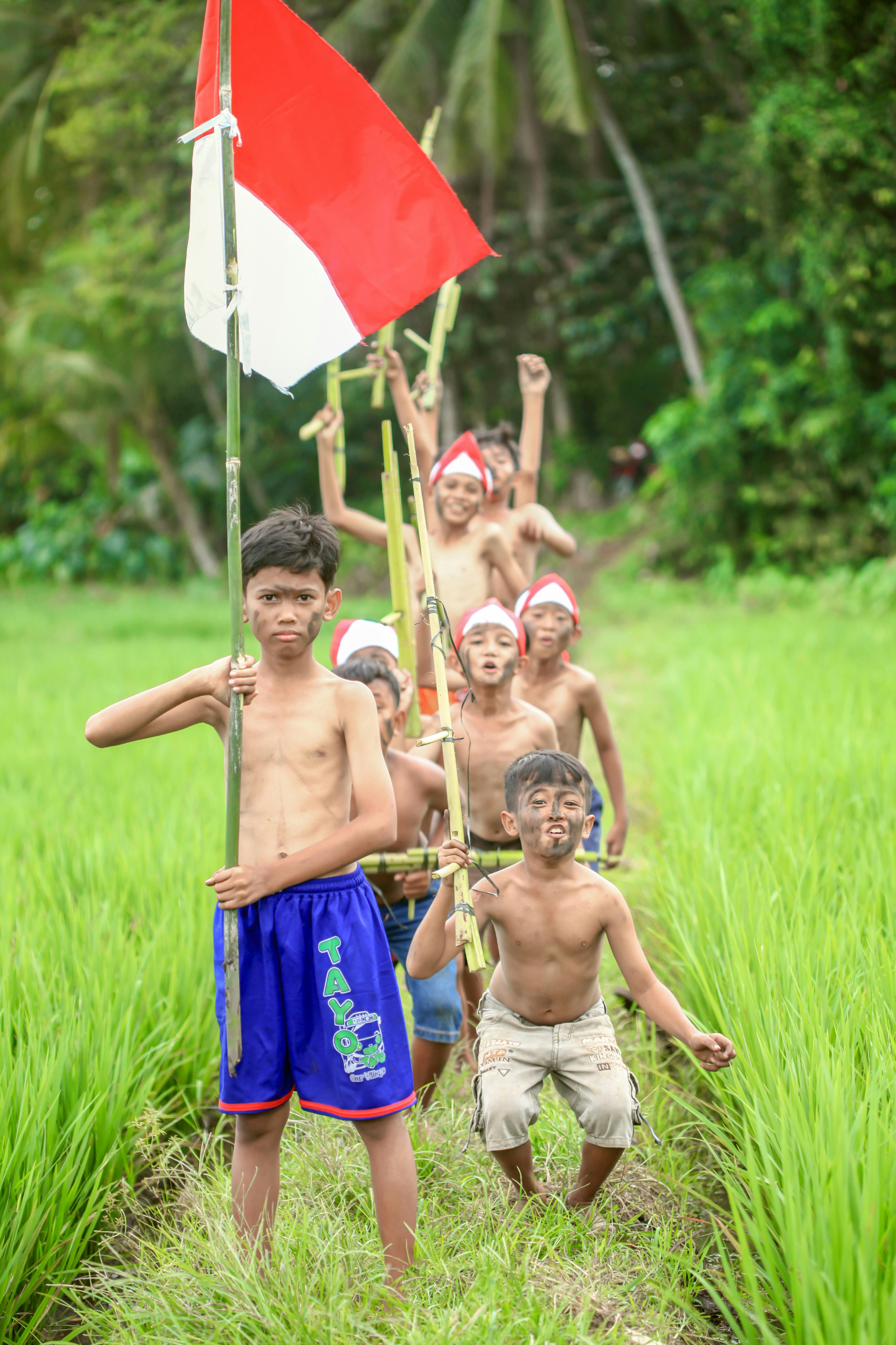 Boy Holding a Bunch of Hand Flags · Free Stock Photo
