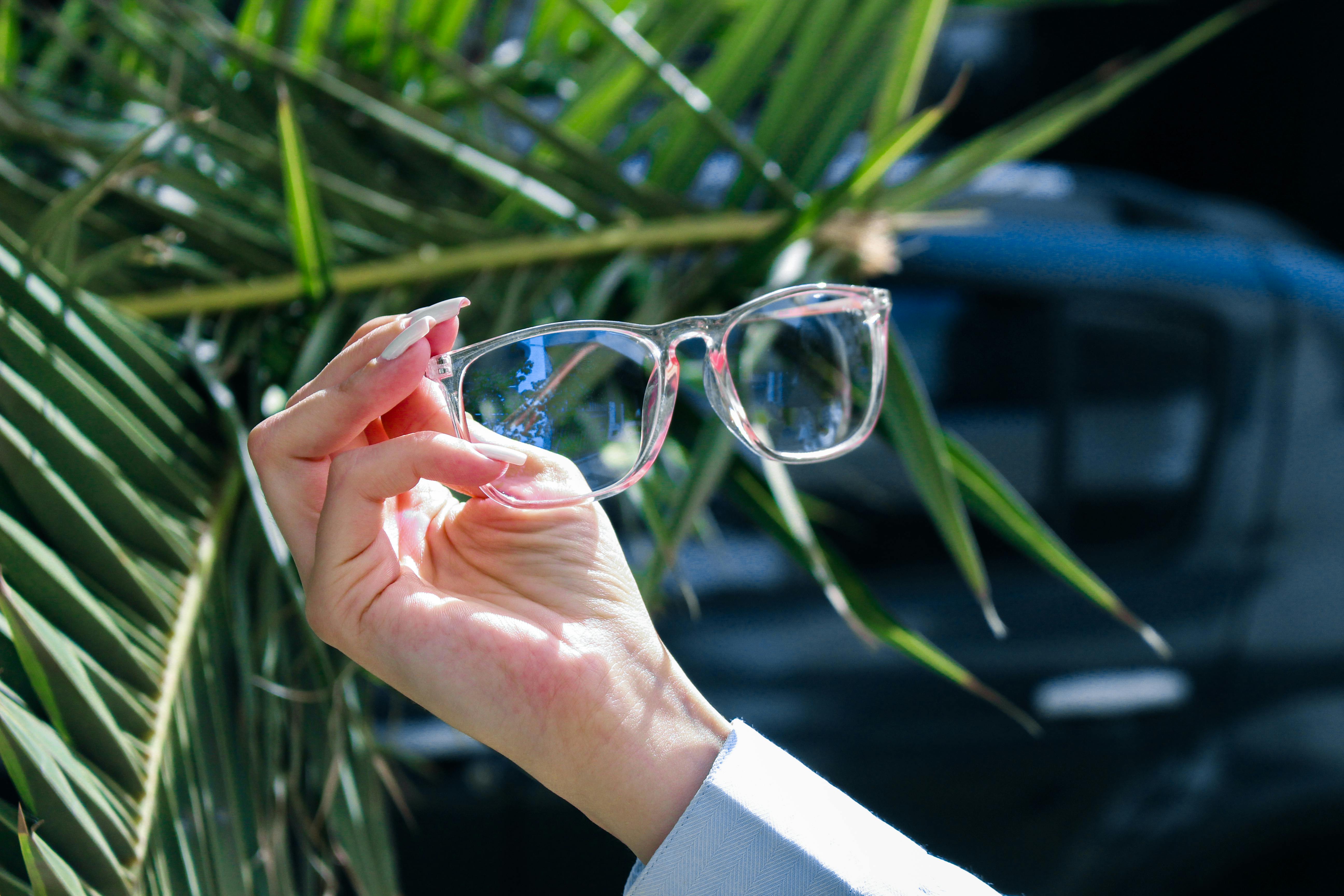 Hand Holding Glasses · Free Stock Photo