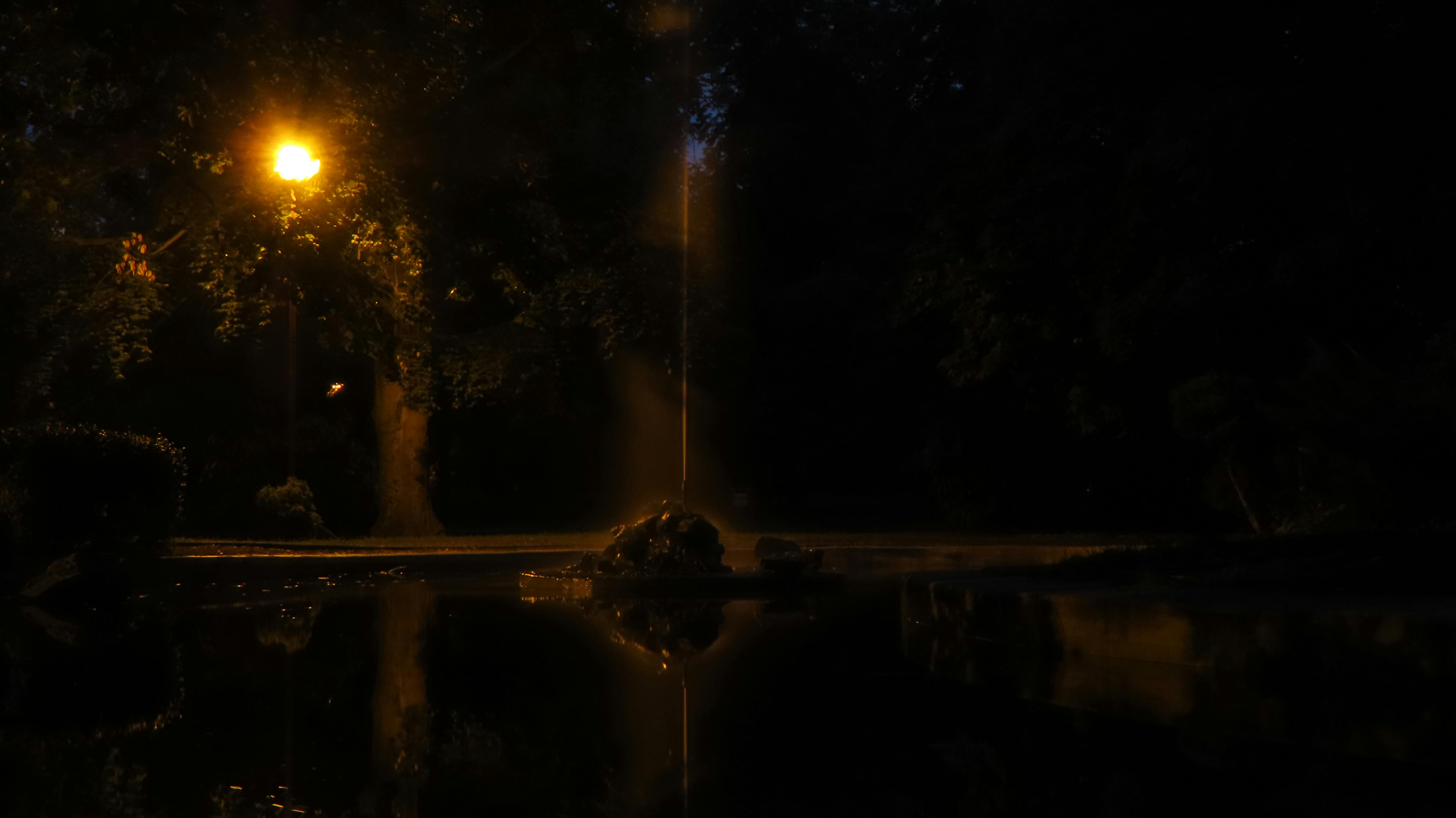 Night 32 Photos & Videos Collected by Will Bill Urban