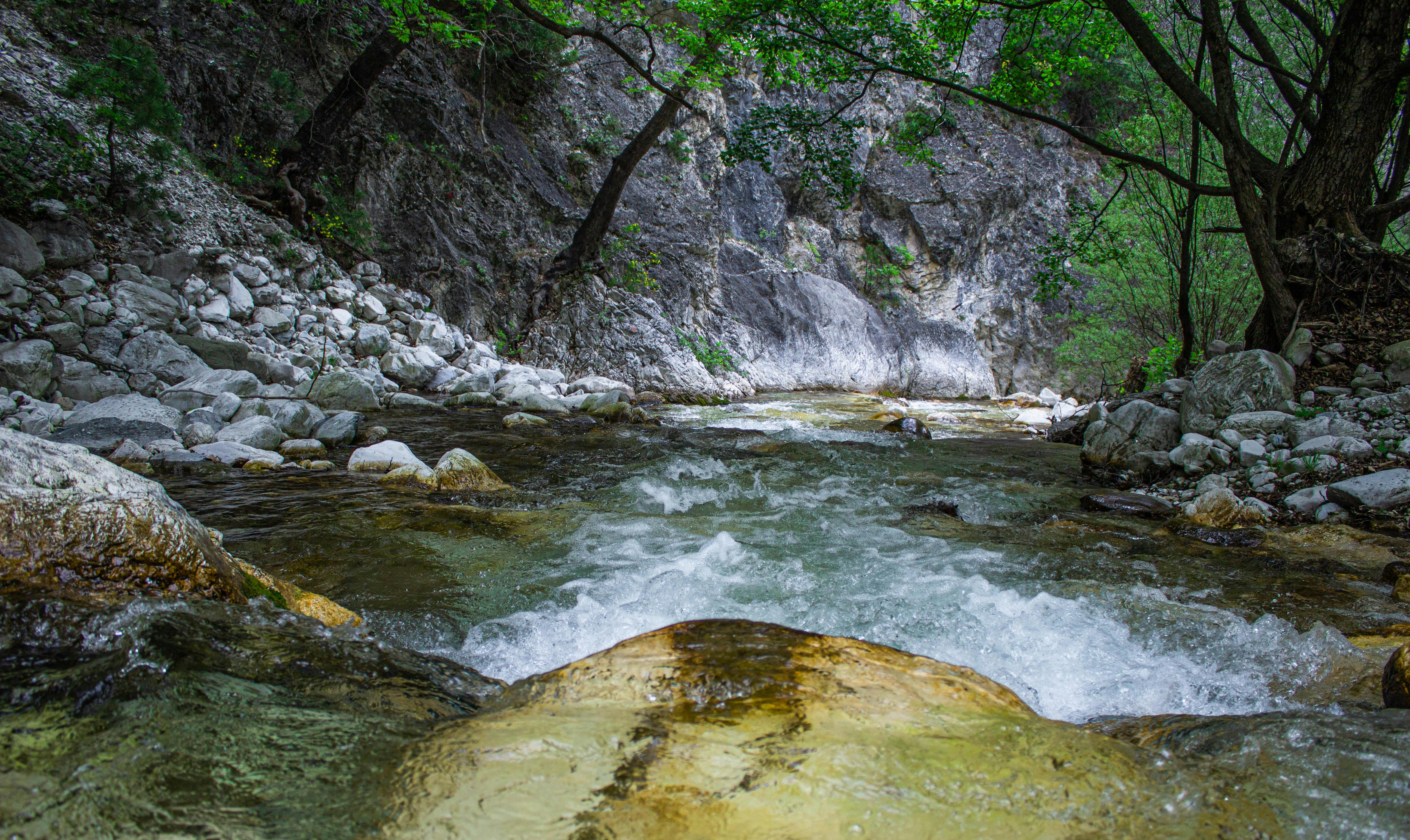 600+ Fotos y Imágenes de Rios Gratis · Banco de Imágenes Gratis · Pexels