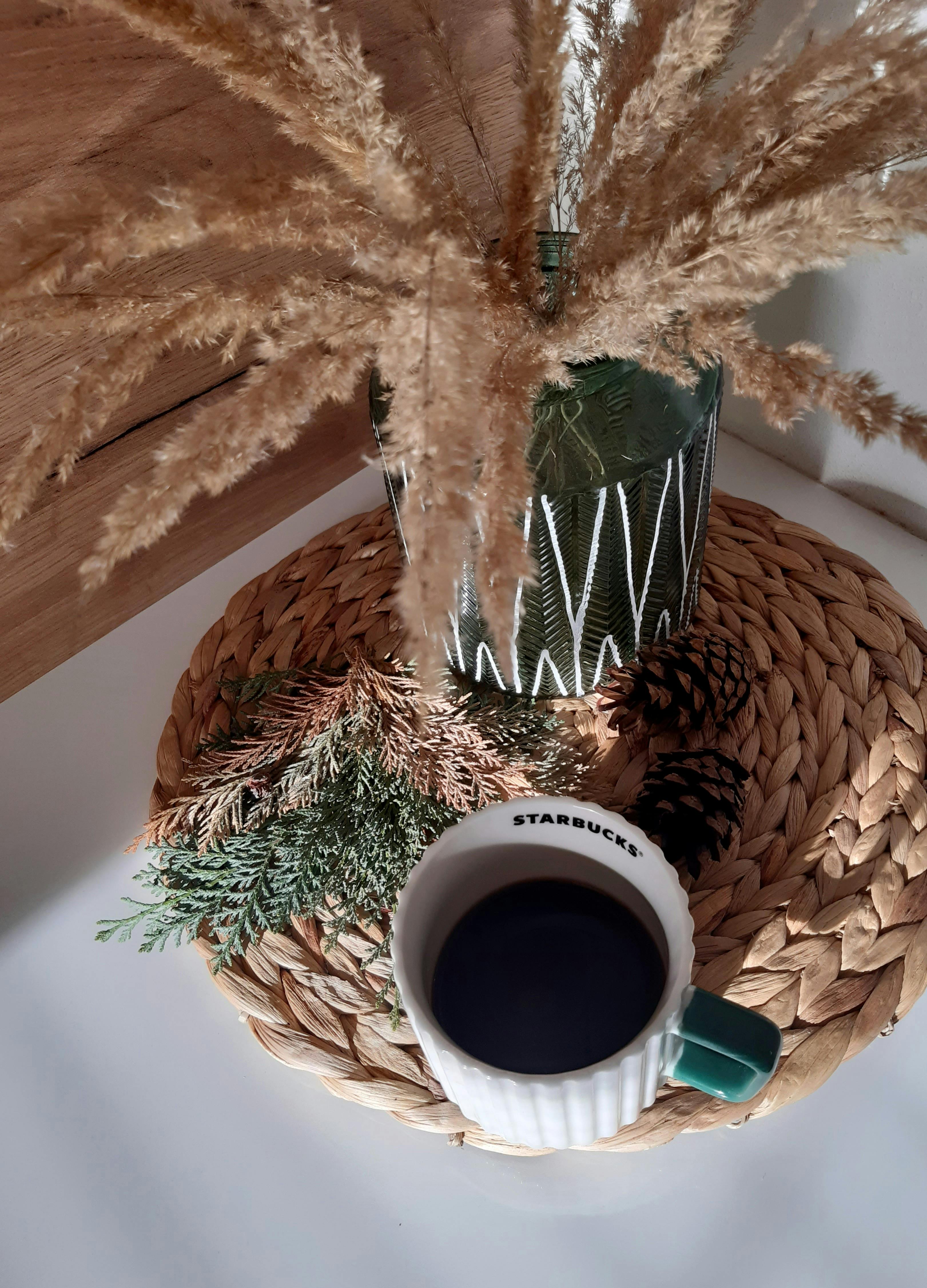 Starbucks Refresher Photos, Download The BEST Free Starbucks Refresher ...