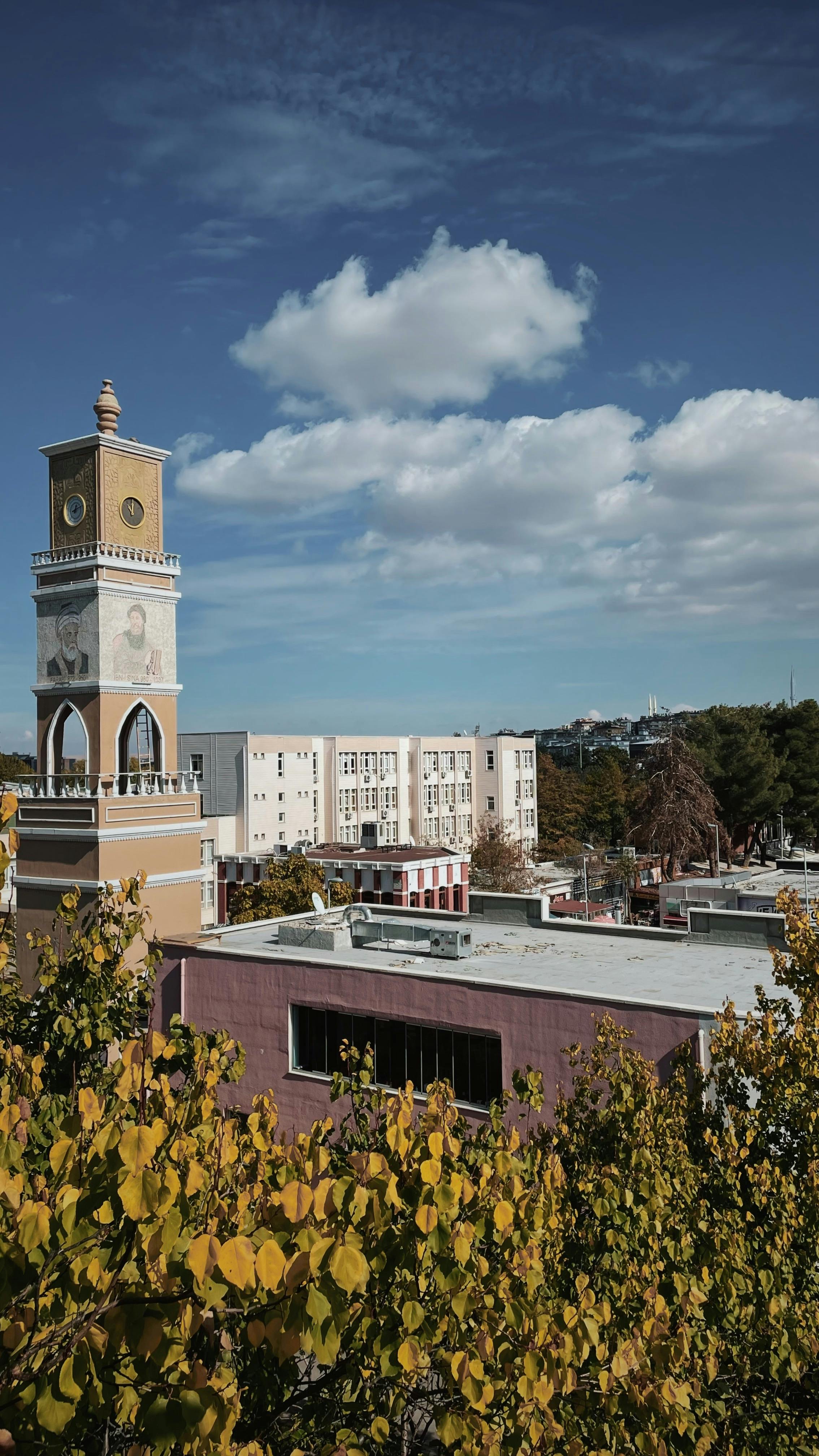 Photo of Trees Near Buildings · Free Stock Photo