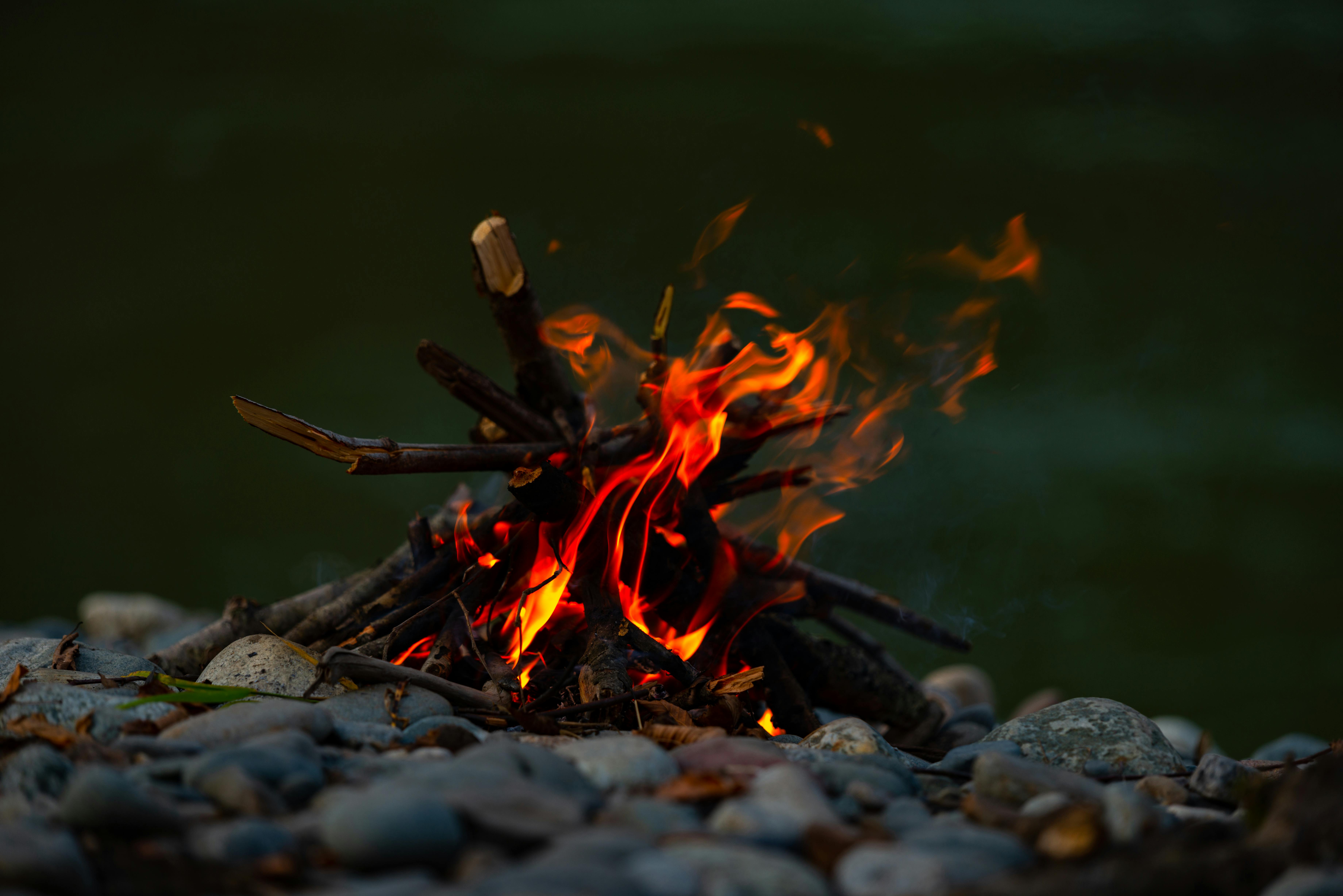 Selective Focus Photography of Lighted Lawn Torch · Free Stock Photo