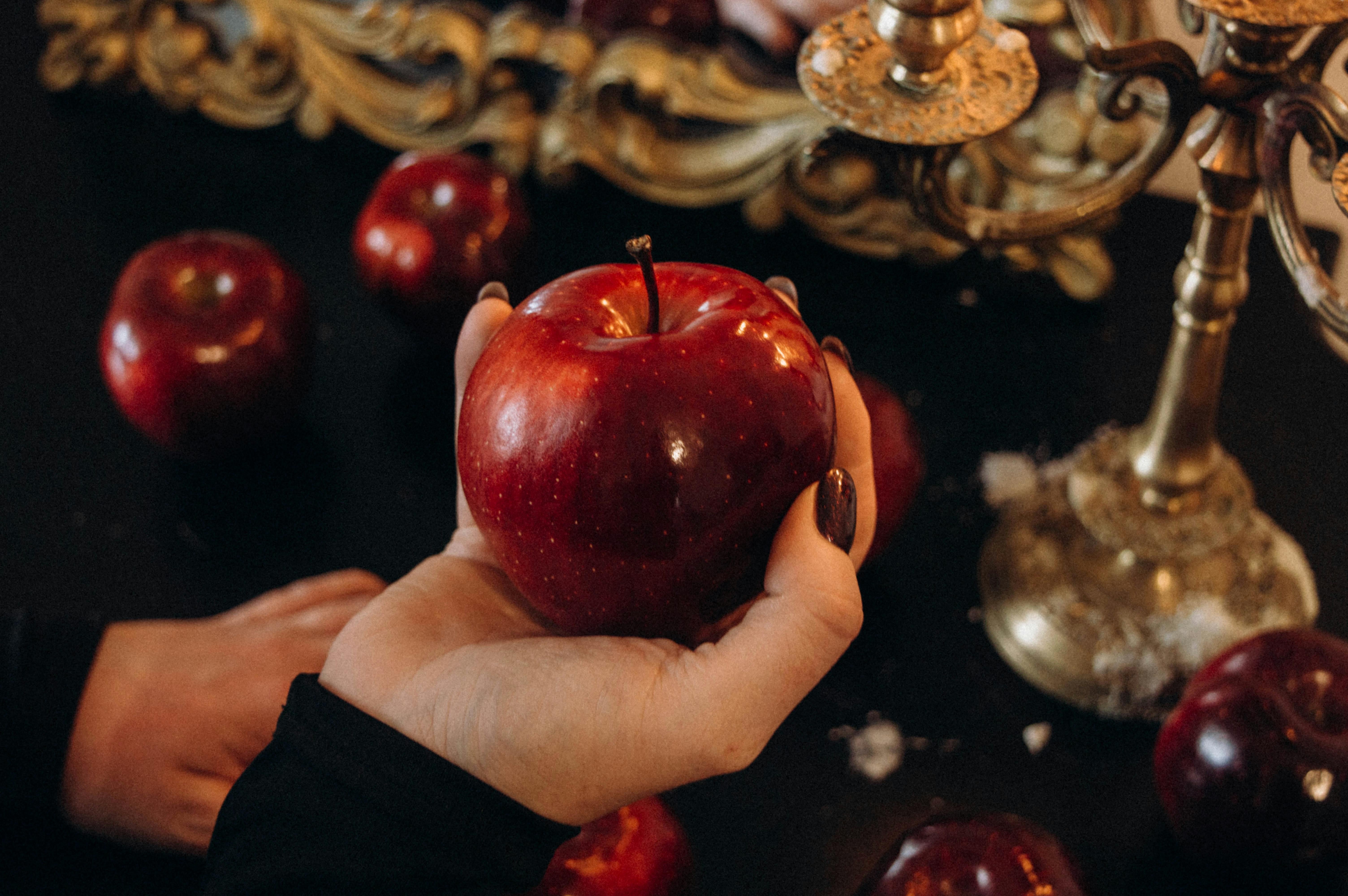A Person Holding Apples · Free Stock Photo